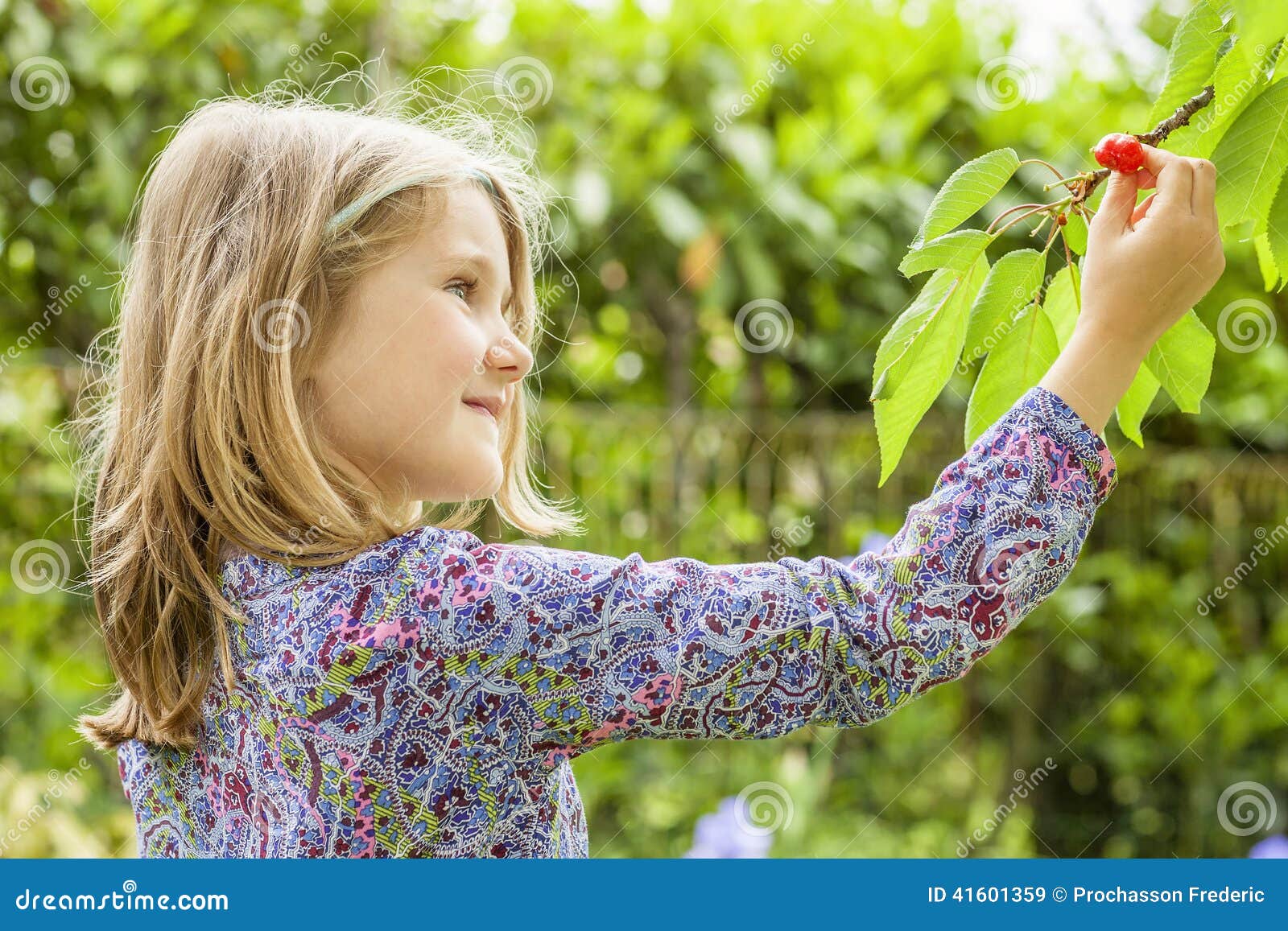 Girl and cherry tree stock image. Image of european, healthy - 41601359