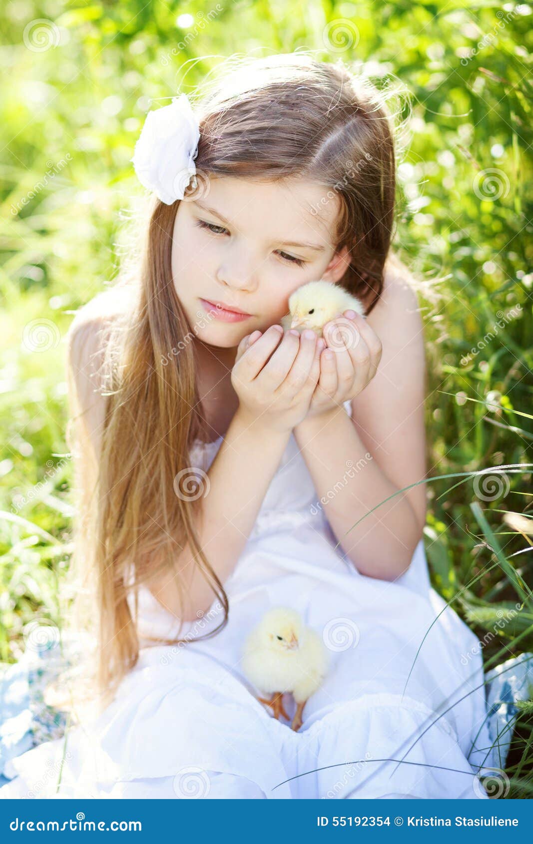 Girl with chicken stock photo. Image of caucasian, chick - 55192354