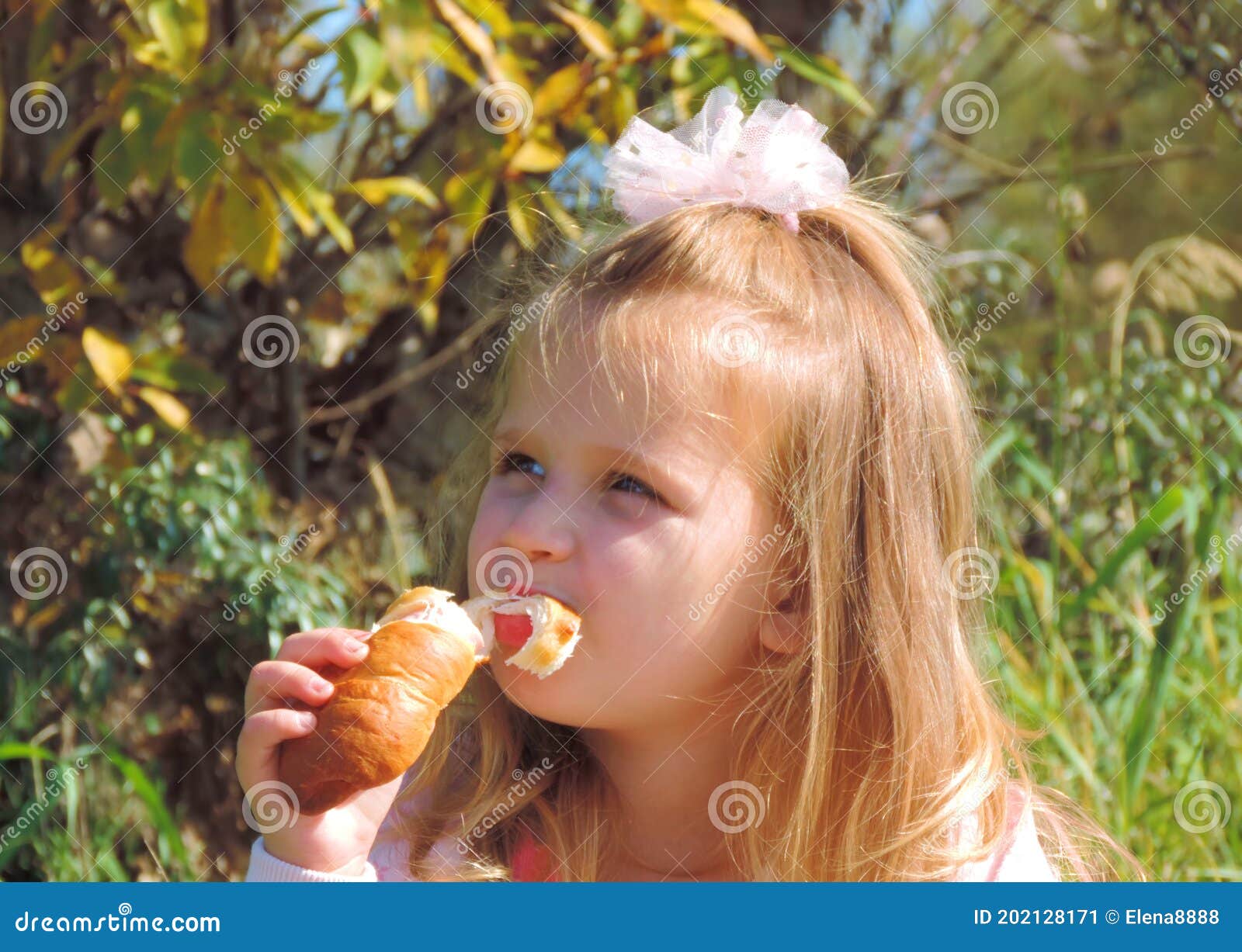Girl Child Eating a Bun Outdoors on a Picnic Stock Image - Image of ...