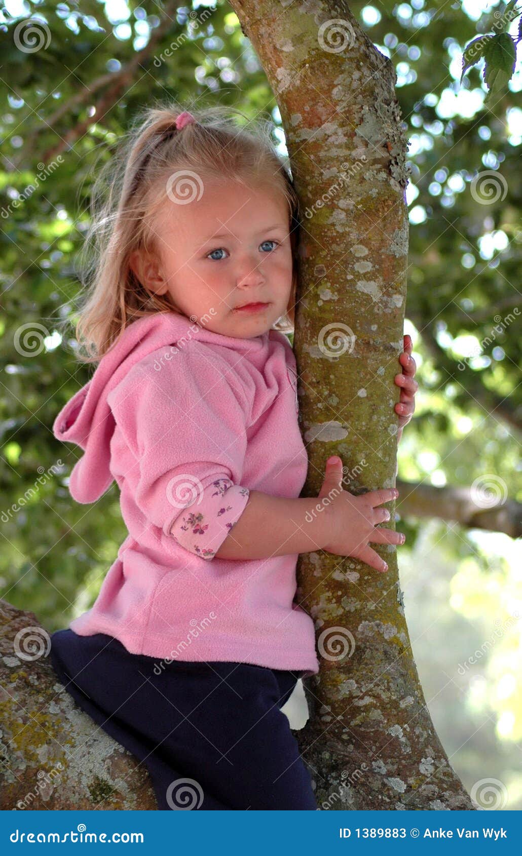 Girl child in tree stock image. Image of hair, eyed, forest - 1389883