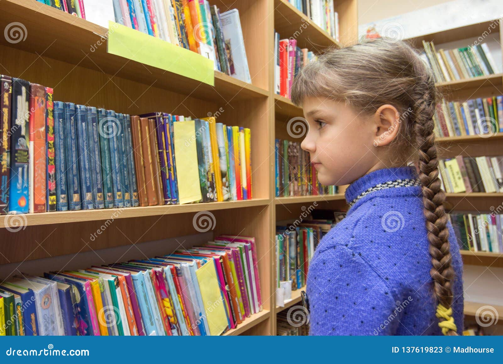 The Girl Chooses Books in the Library Stock Image - Image of search ...