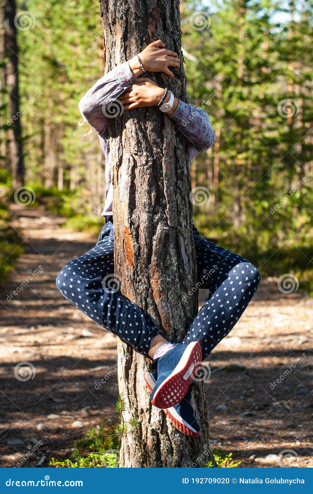 Girl Clasped the Tree Trunk with Her Arms and Legs Stock Photo - Image ...