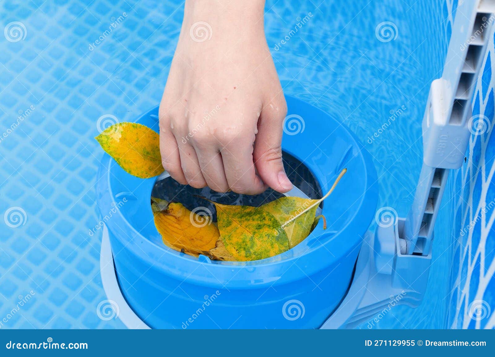 Girl Cleans Skimmer for the Frame Pool. Contaminated Pool Cleaning ...