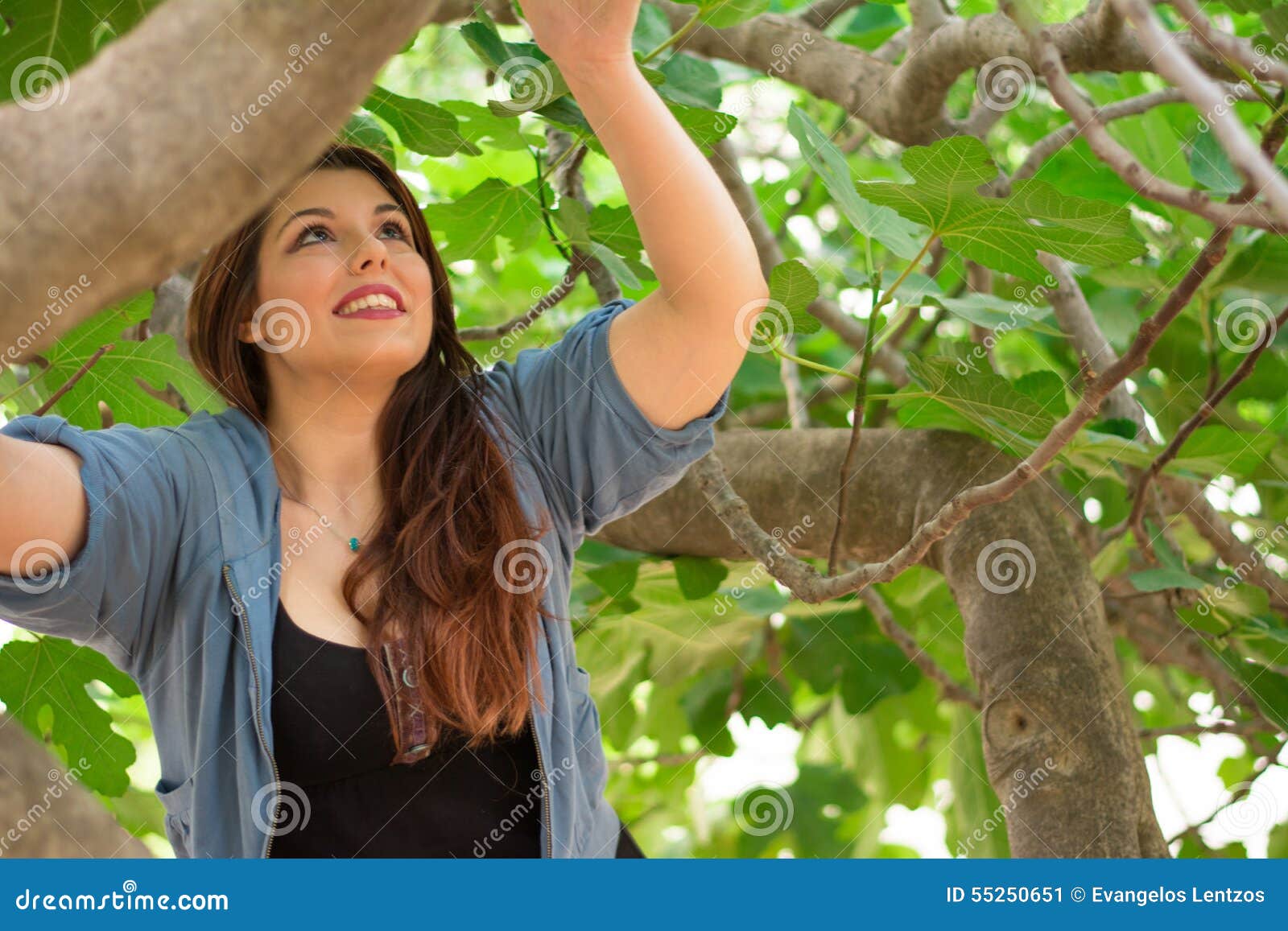 Girl Climbing on a Fig Tree Stock Image - Image of park, flower: 55250651
