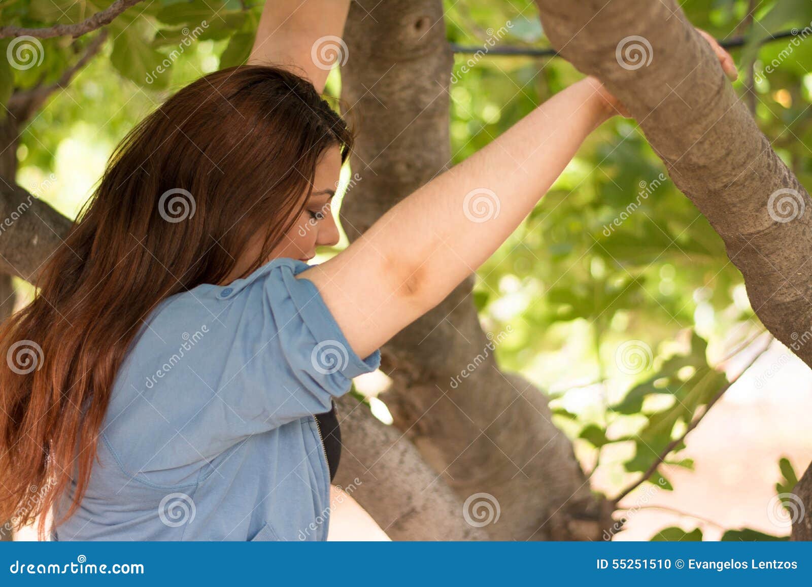 Girl Climbing on a Fig Tree Stock Photo - Image of european, climbing ...