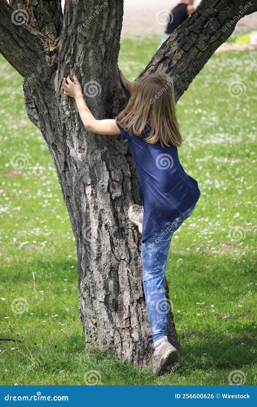 Girl Climbing a Tree in the Park Stock Photo - Image of climb, girl ...