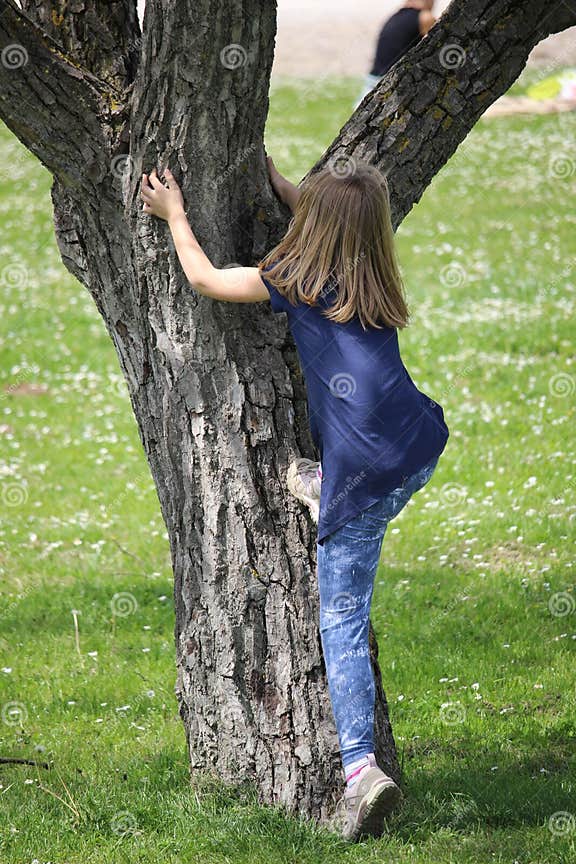Girl Climbing a Tree in the Park Stock Photo - Image of climb, girl ...