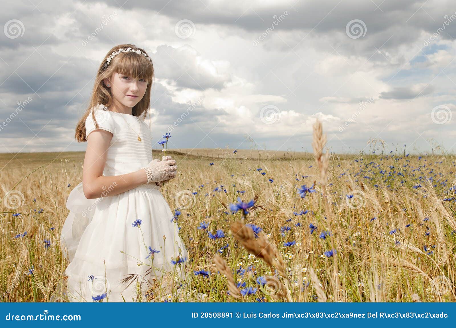 Girl communion dress stock image. Image of dress, flowers - 20508891