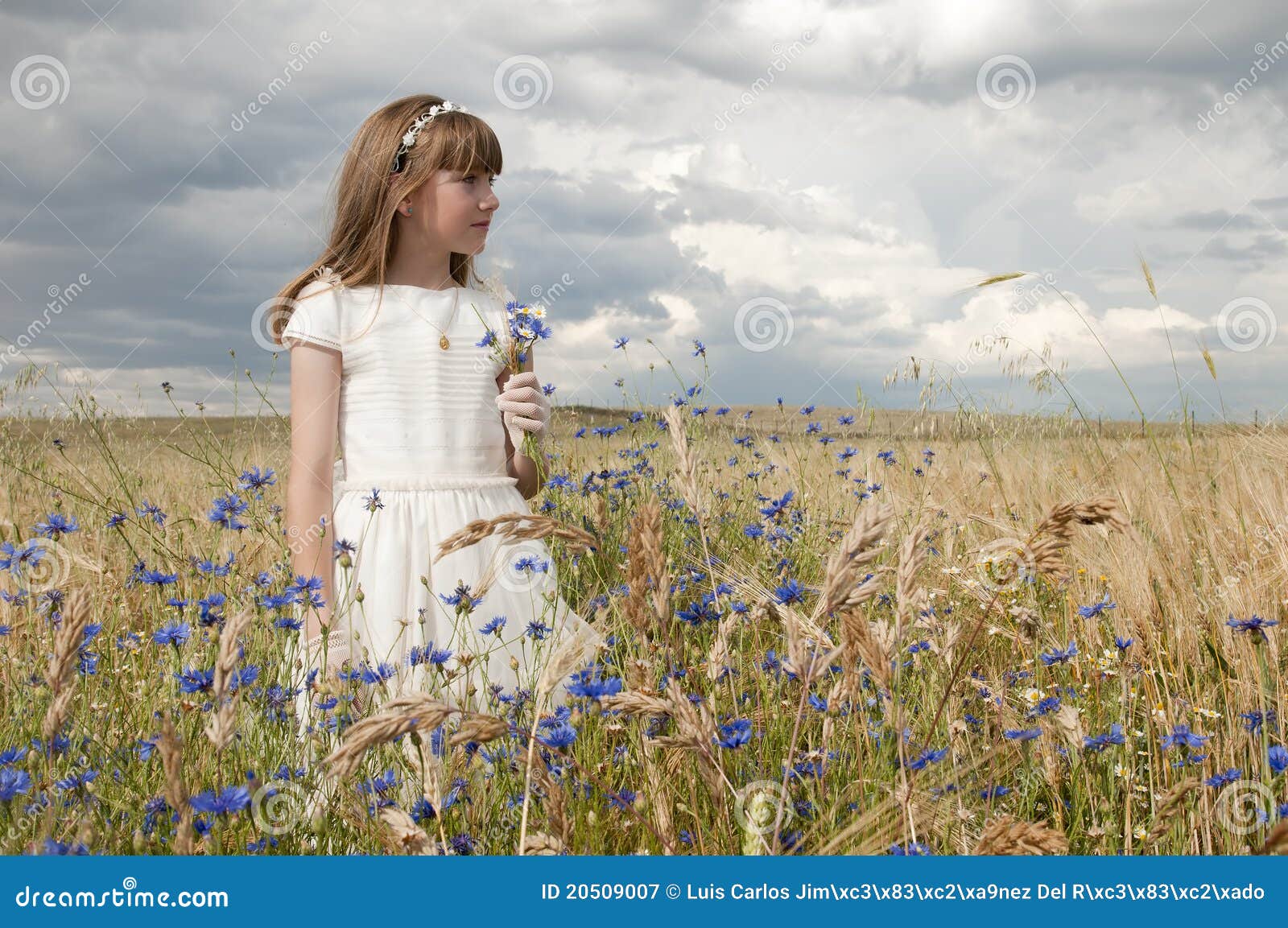 Girl communion dress stock image. Image of flowers, ceremony - 20509007