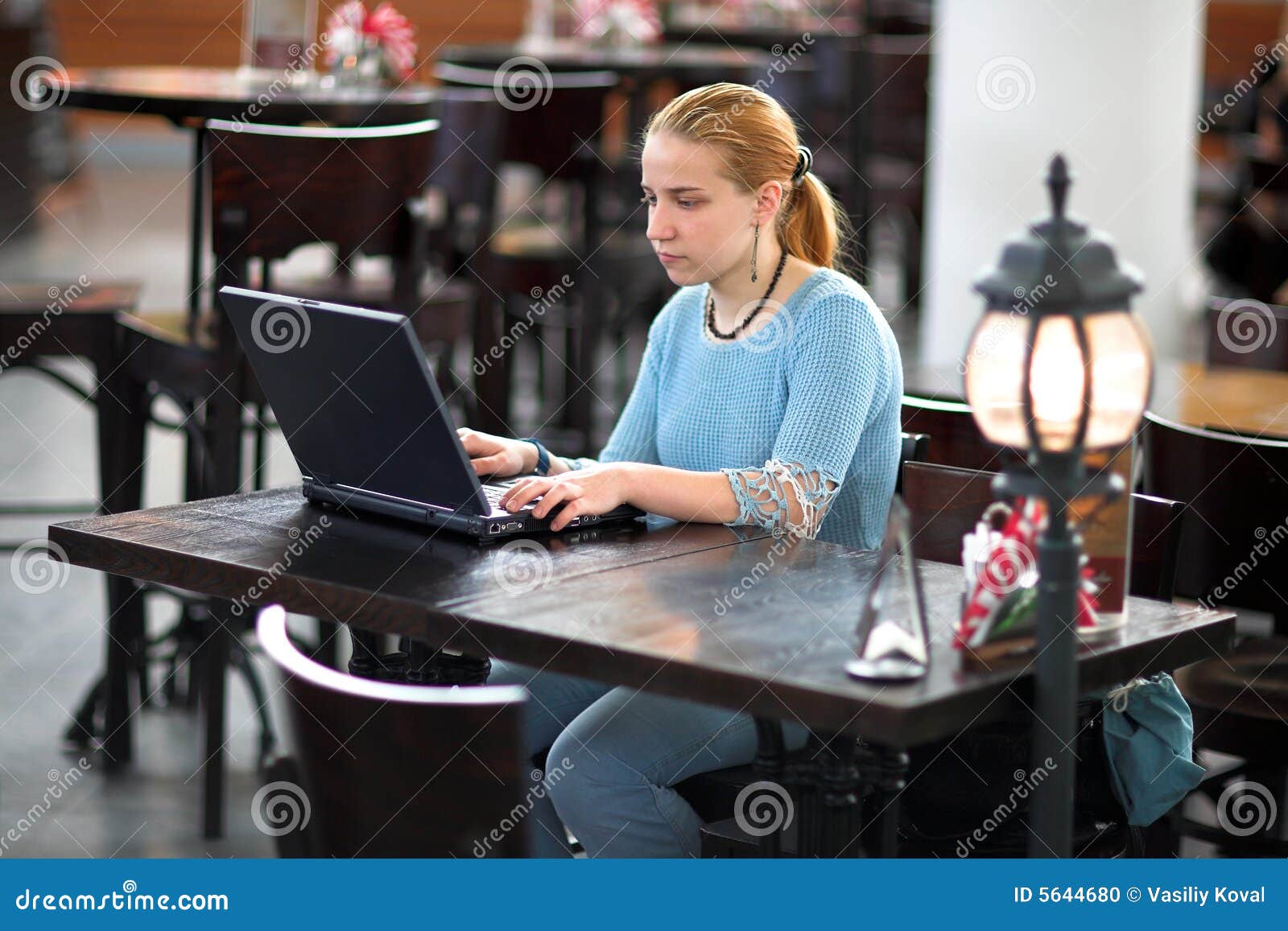 Girl with computer in cafe stock photo. Image of businesswoman - 5644680