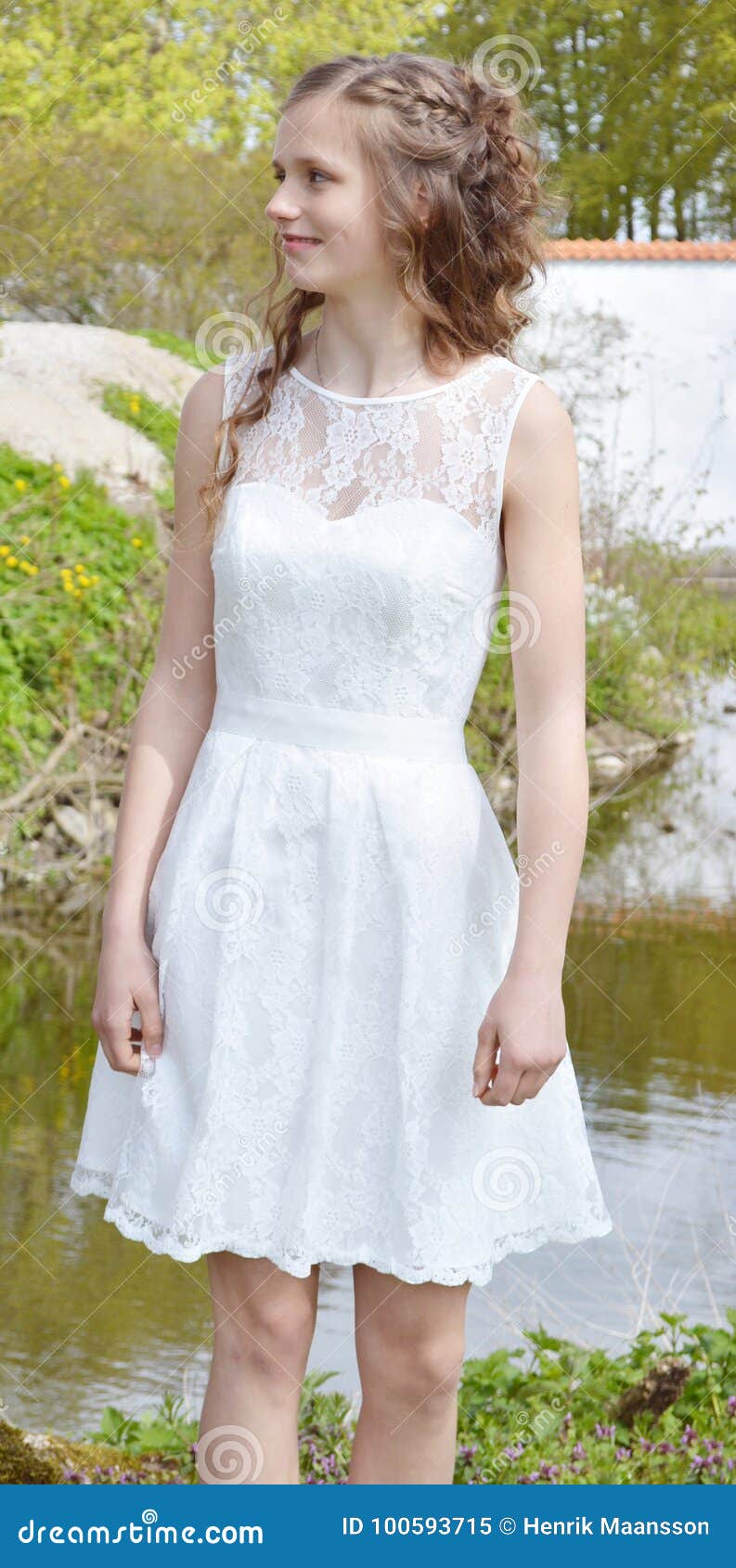 Confirmation stock image. Image of sunshine, trunk, confirmation ...