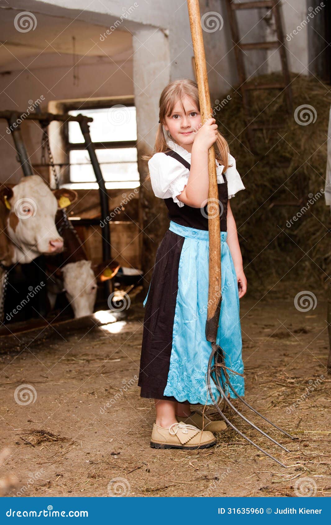 Girl in a cow stable stock photo. Image of bavarian, animal - 31635960