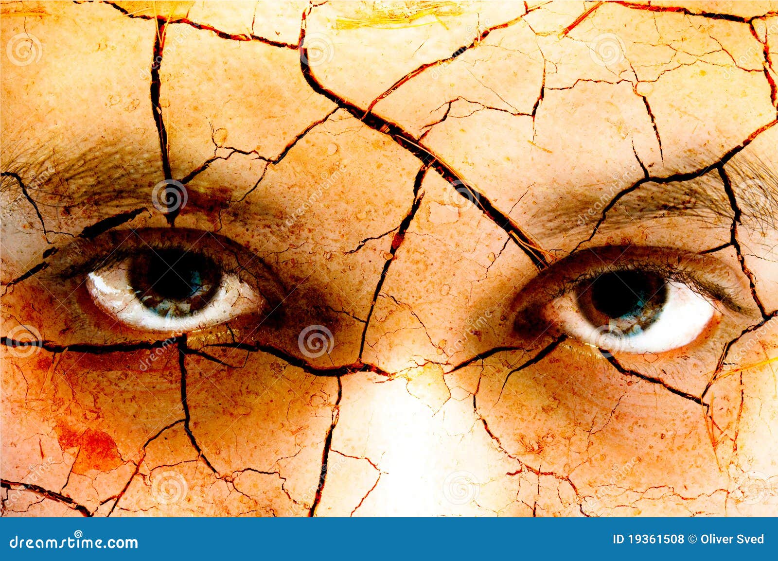 Girl with cracks stock photo. Image of macro, optician - 19361508