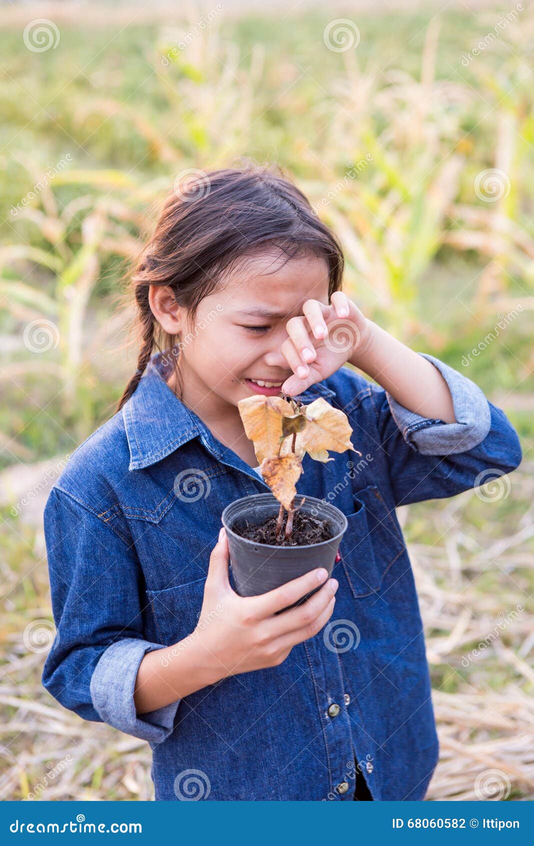 Girl crying over dead tree stock photo. Image of bonsai - 68060582