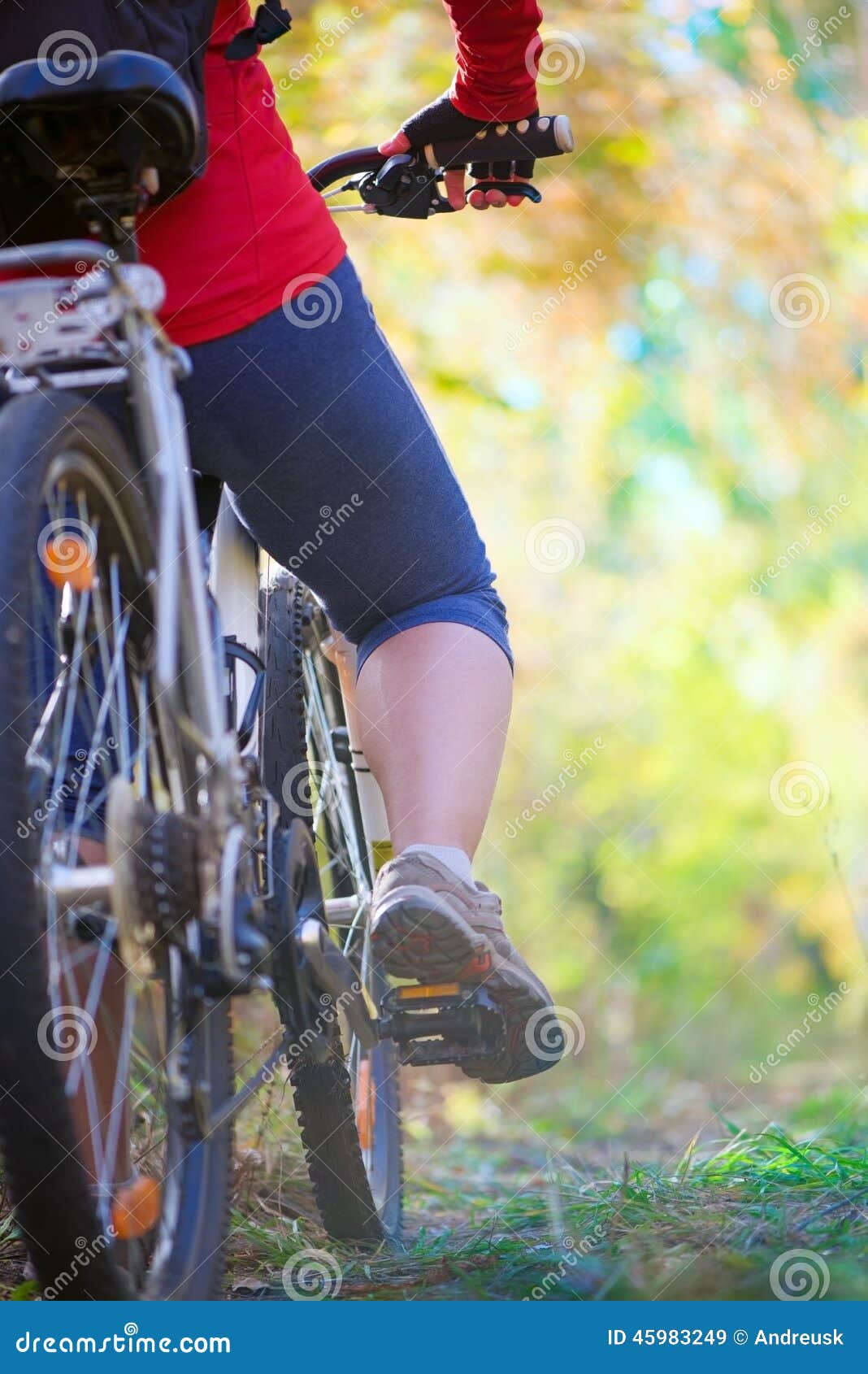 Girl cycling in forest stock image. Image of adult, nature - 45983249