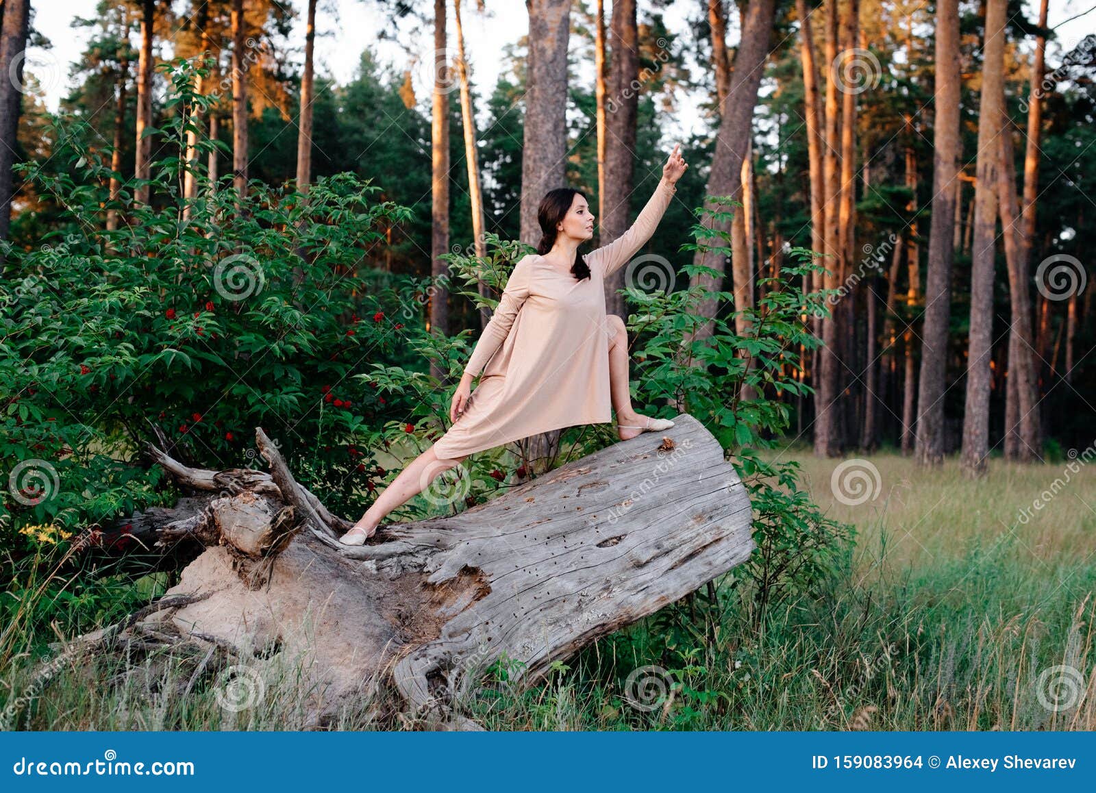 Girl Dancing in the Summer in a Pine Forest Stock Photo - Image of ...