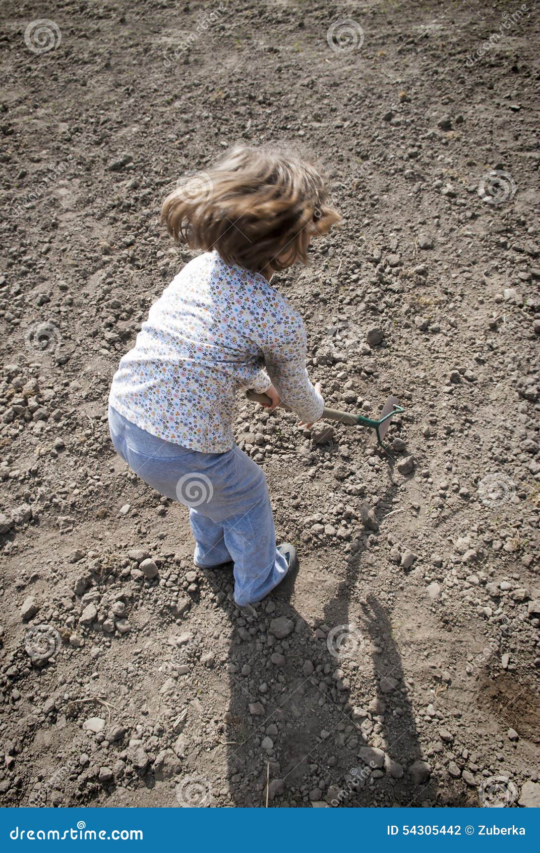 Girl digging stock photo. Image of activity, organic - 54305442