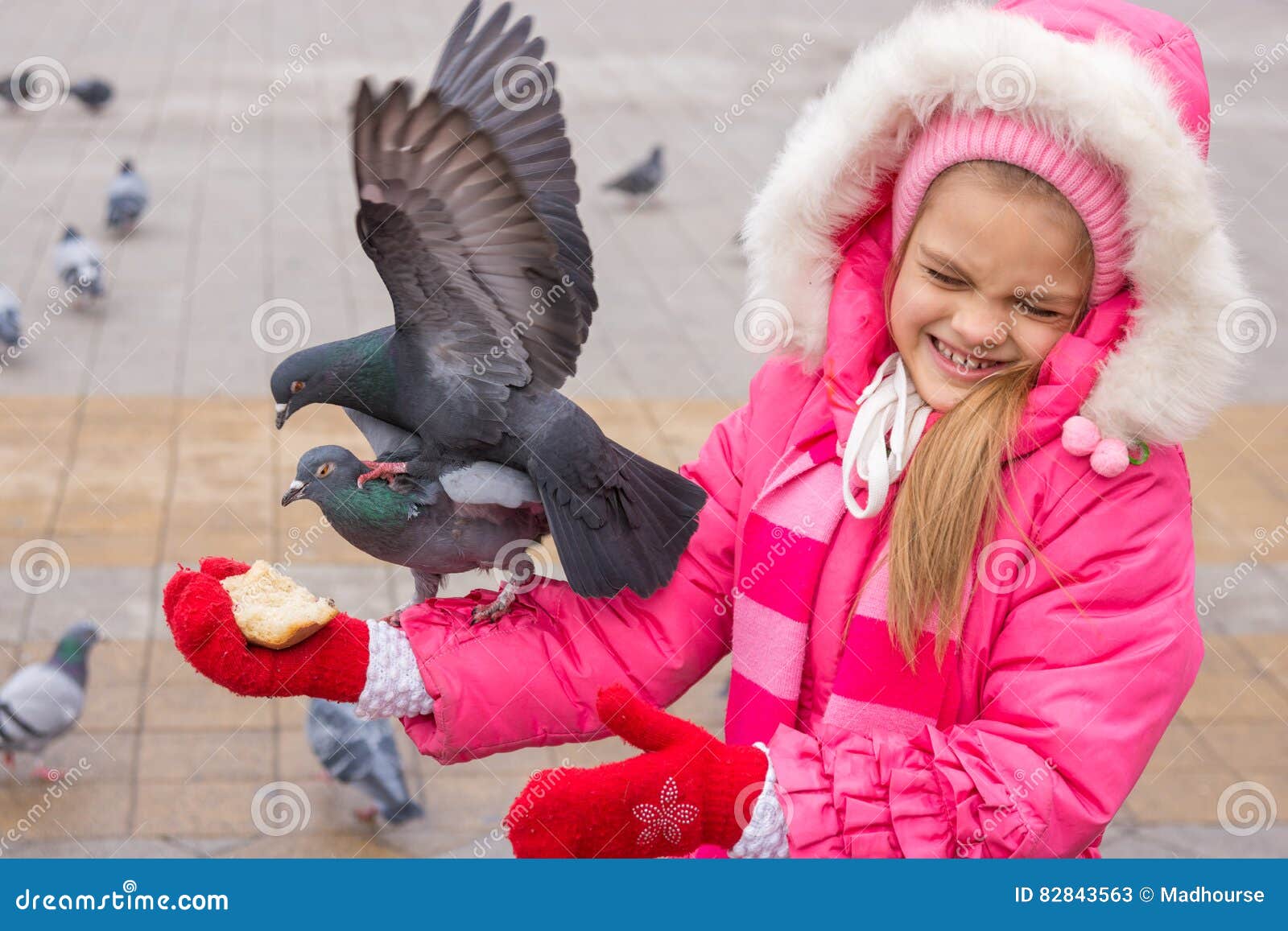 Girl Dodged Pigeons, Which are Fighting for Bread Stock Image - Image ...