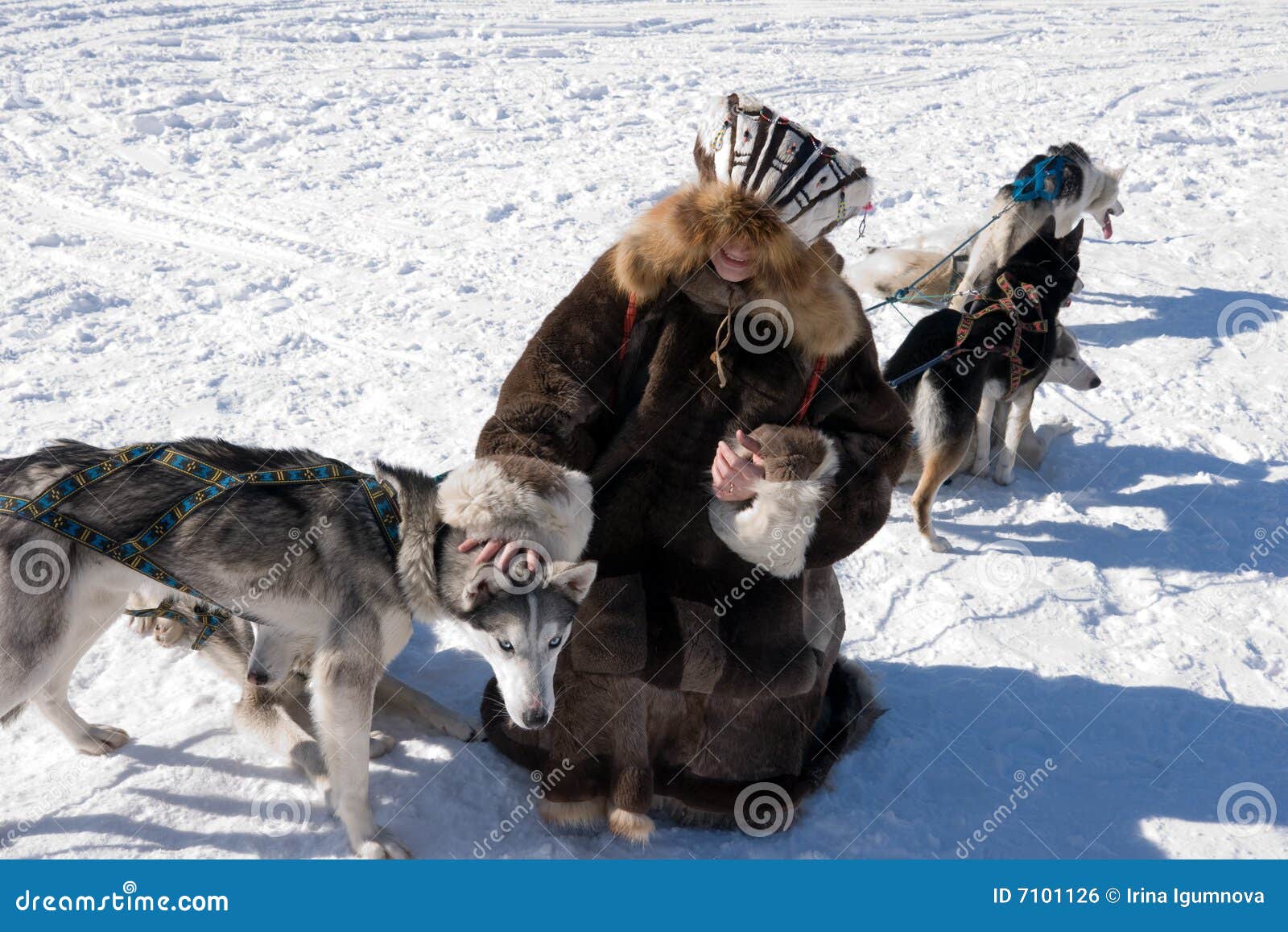 Haska Stock Photos - Free & Royalty-Free Stock Photos from Dreamstime