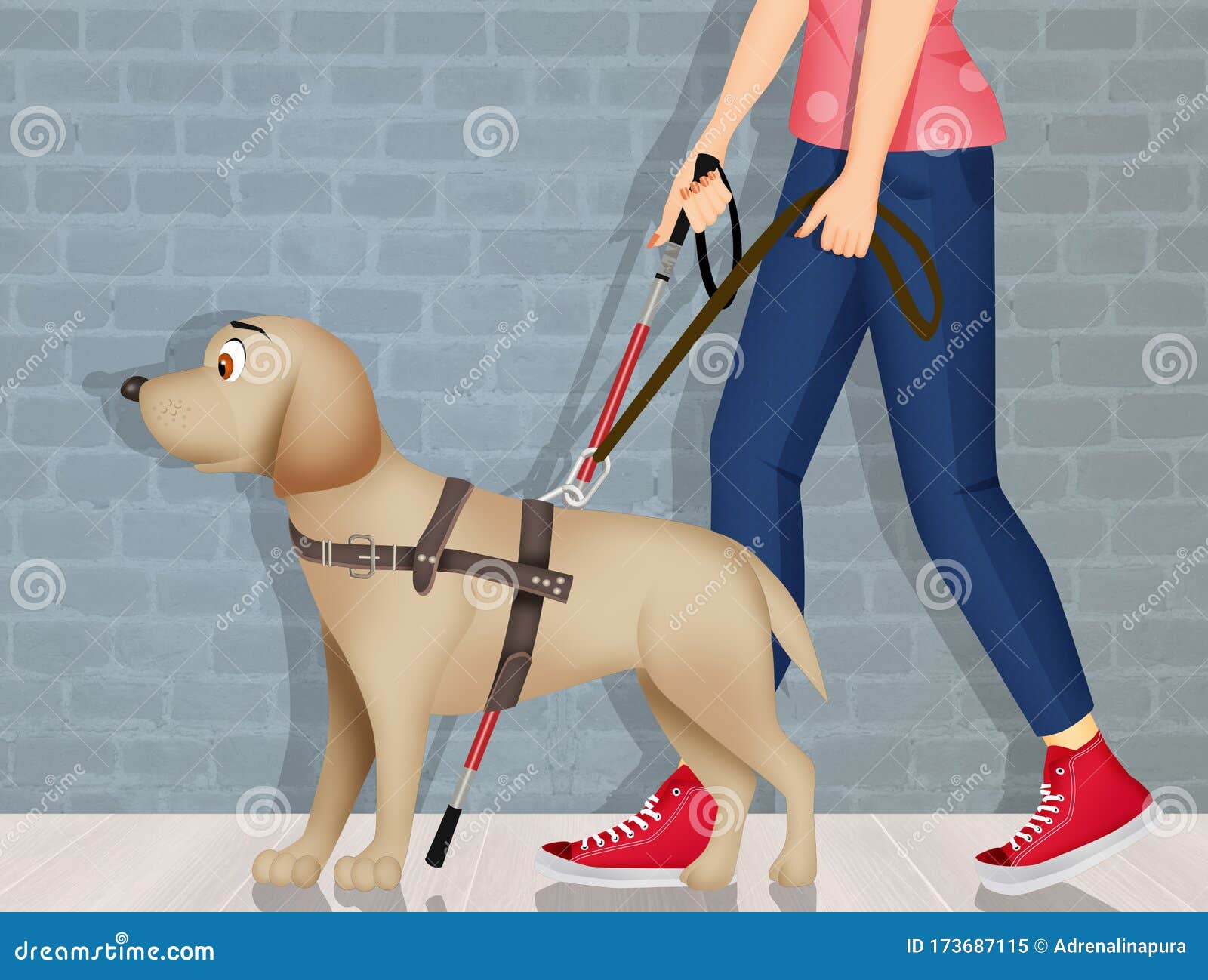 Girl with Dog for the Blind Stock Illustration - Illustration of puppy ...