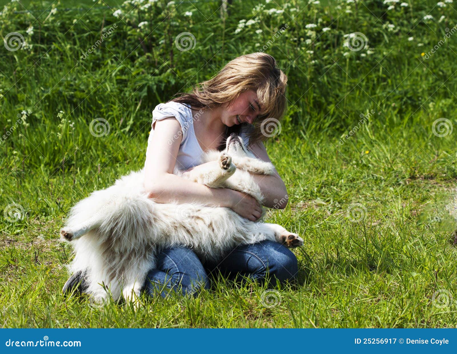 Girl and Dog - Loving Relationship Stock Image - Image of animal, happy ...