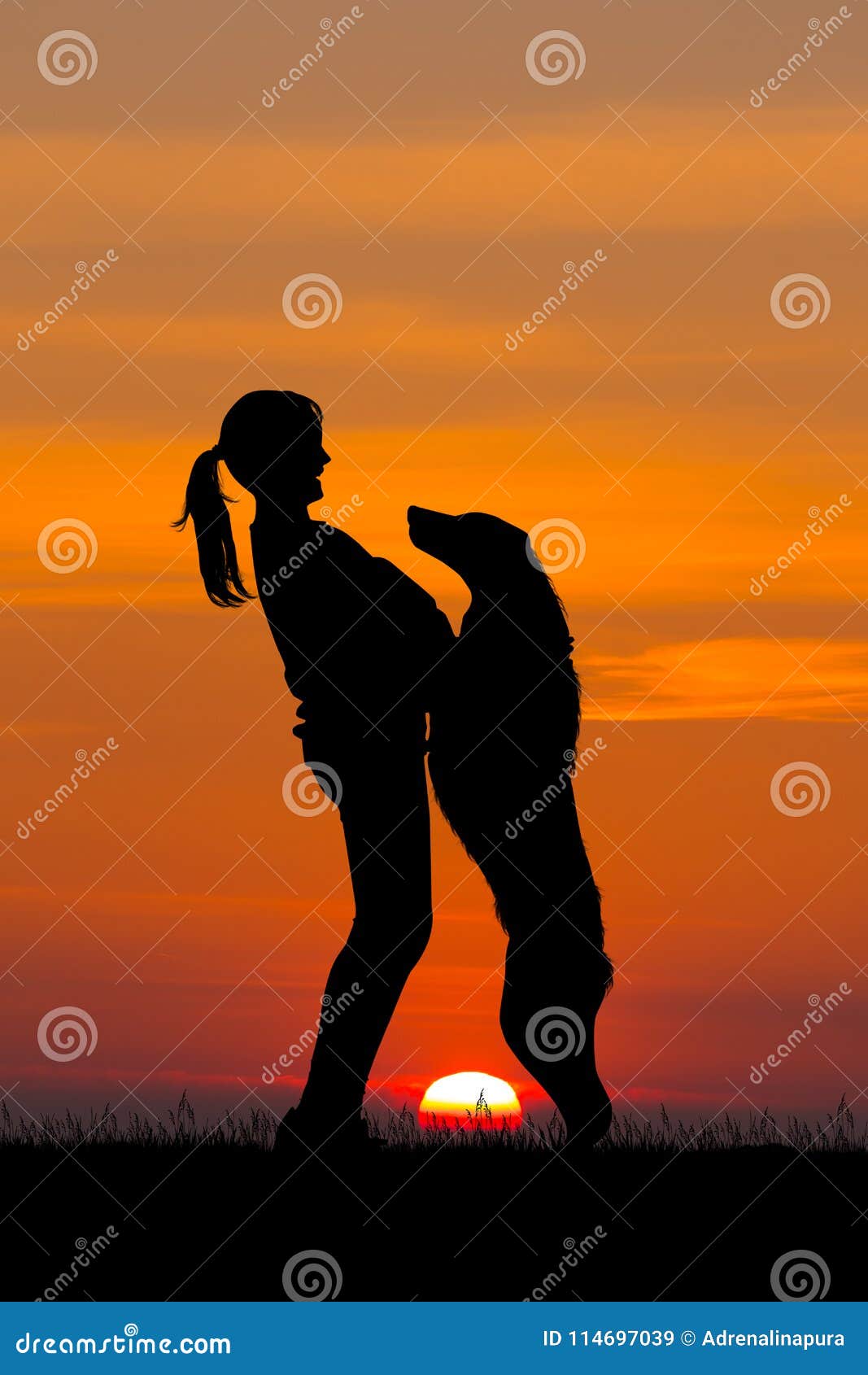 Girl with dog at sunset stock illustration. Illustration of silhouette ...