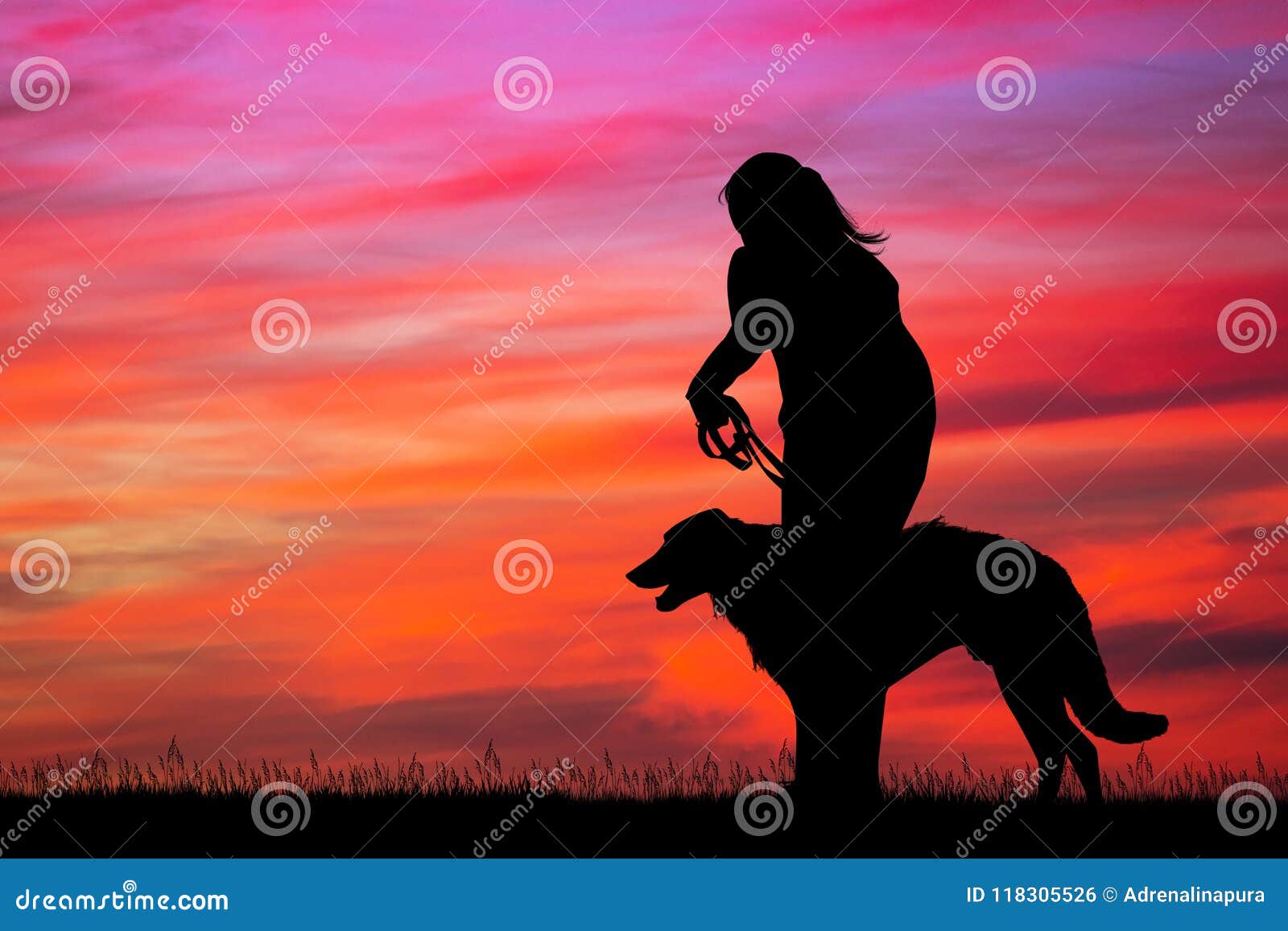 Girl with dog at sunset stock illustration. Illustration of grass ...