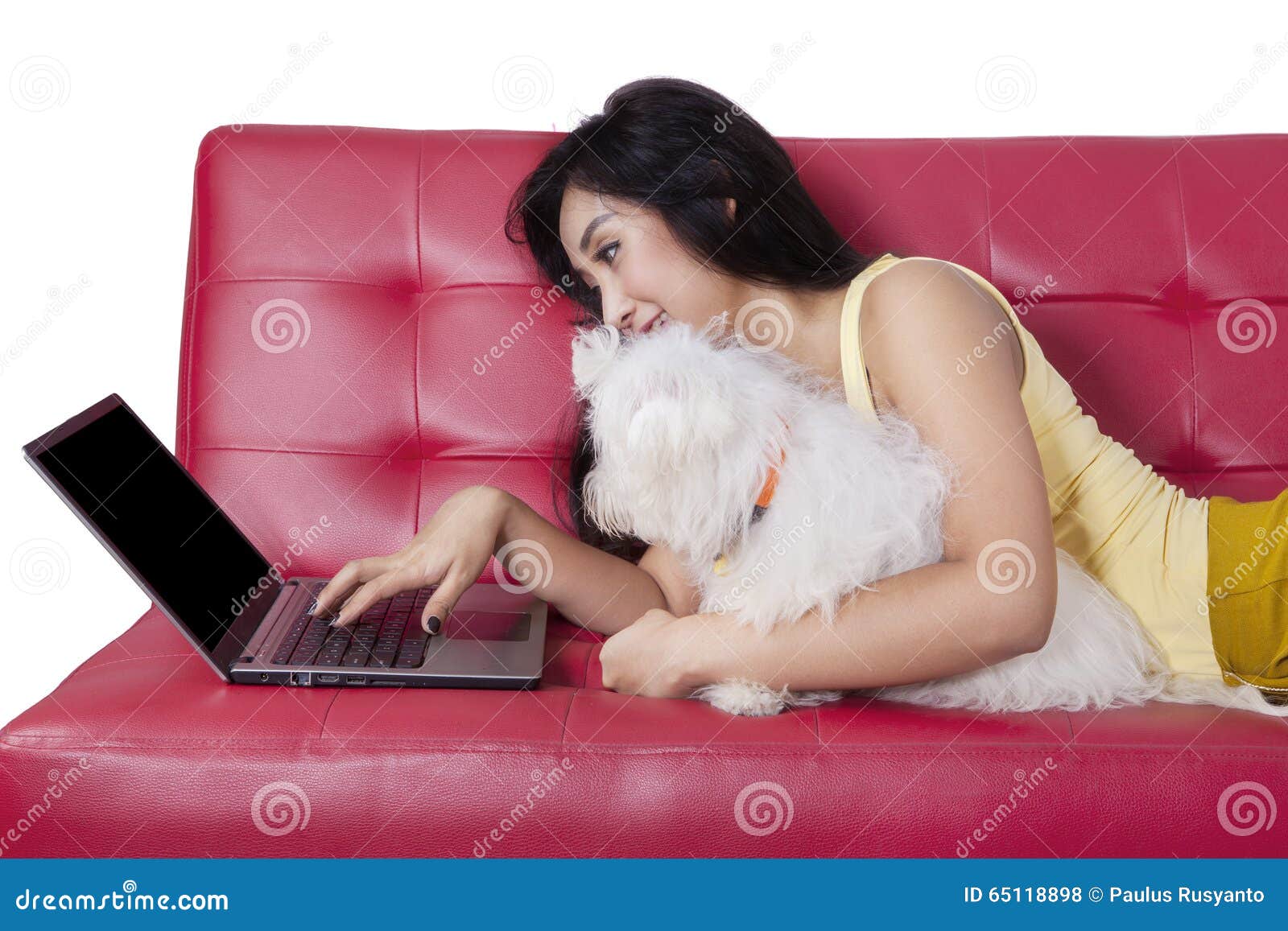 Girl and Dog Use Laptop on Sofa Stock Photo - Image of friendship ...