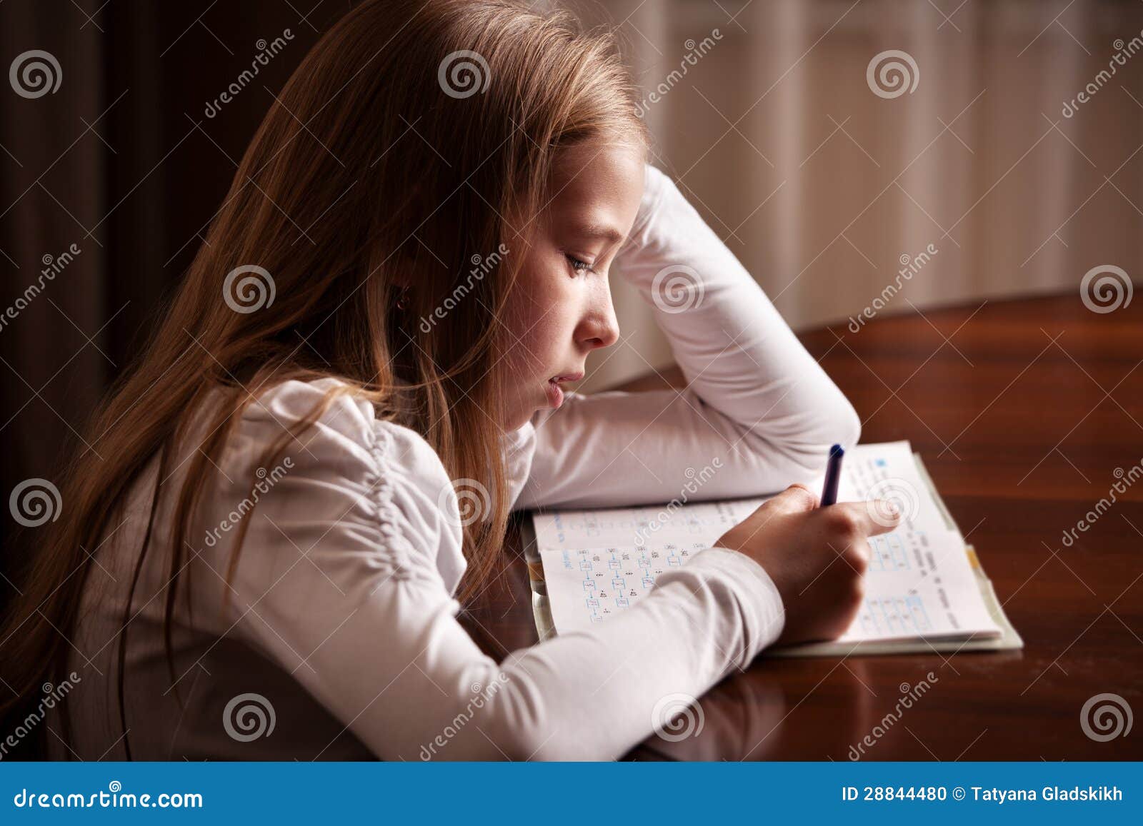 Girl doing homework stock photo. Image of paper, elementary - 28844480