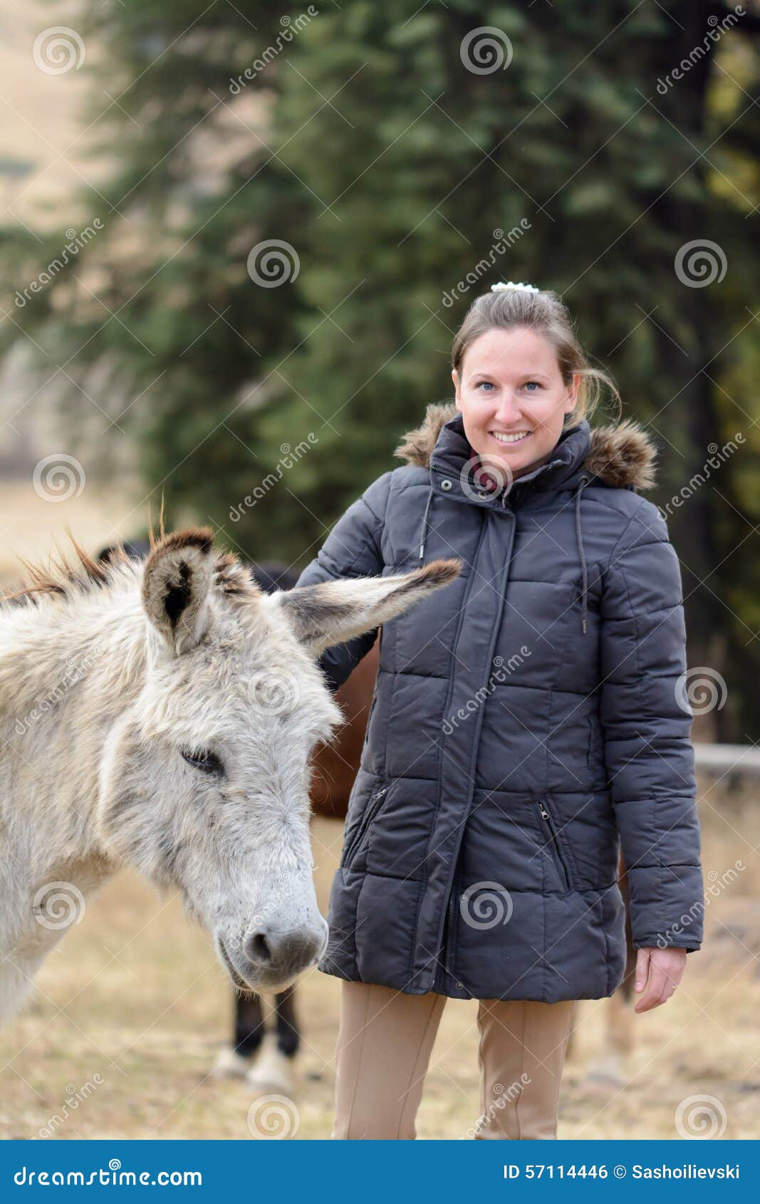 Girl and a donkey stock photo. Image of scruffy, character - 57114446