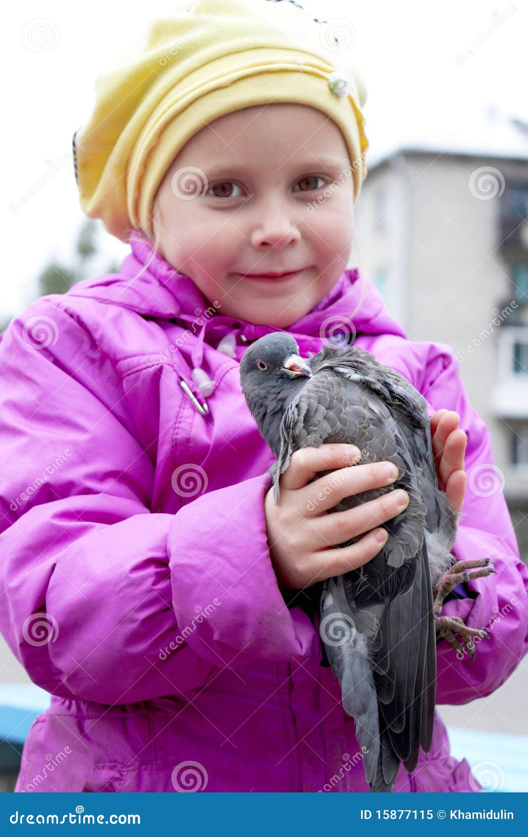 The girl and dove. stock image. Image of dove, smiling - 15877115