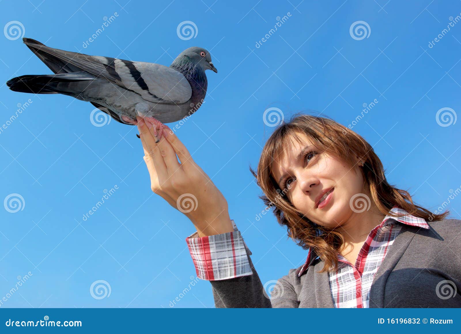 Girl and the dove stock photo. Image of female, message - 16196832