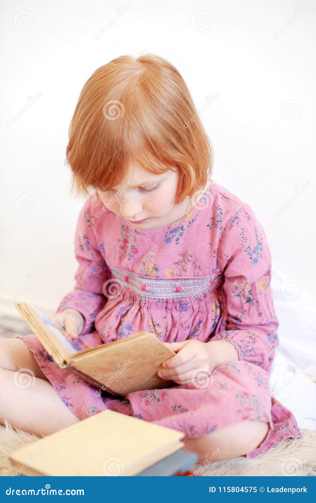 A Girl in a Dress is Reading a Book Stock Image - Image of beautiful ...