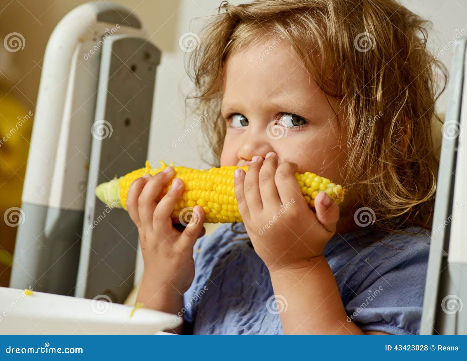 Girl eating corn stock photo. Image of fast, outdoor - 43423028
