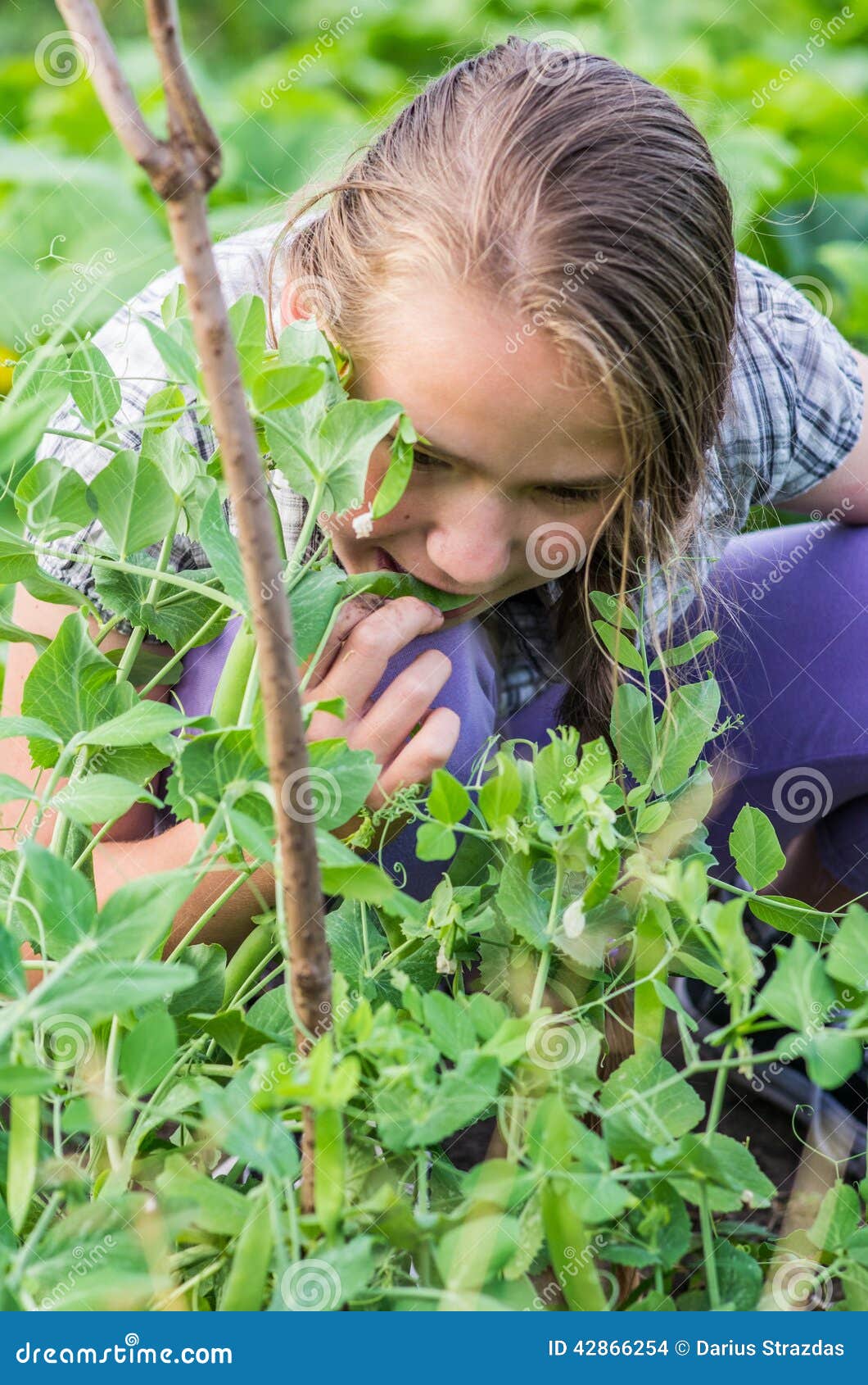 Plant Eats Girl