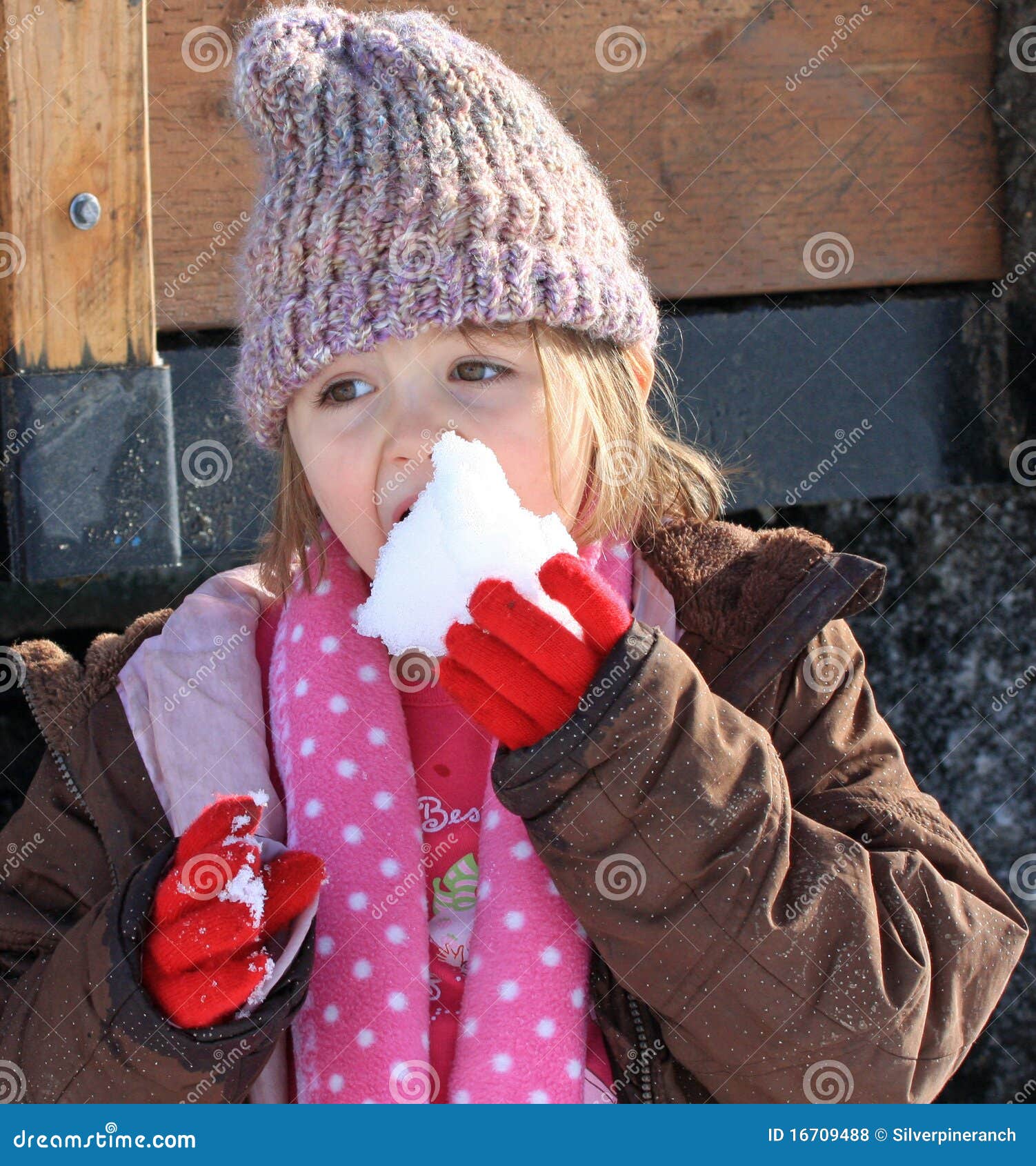 Girl eating snowball stock photo. Image of outdoors, child - 16709488