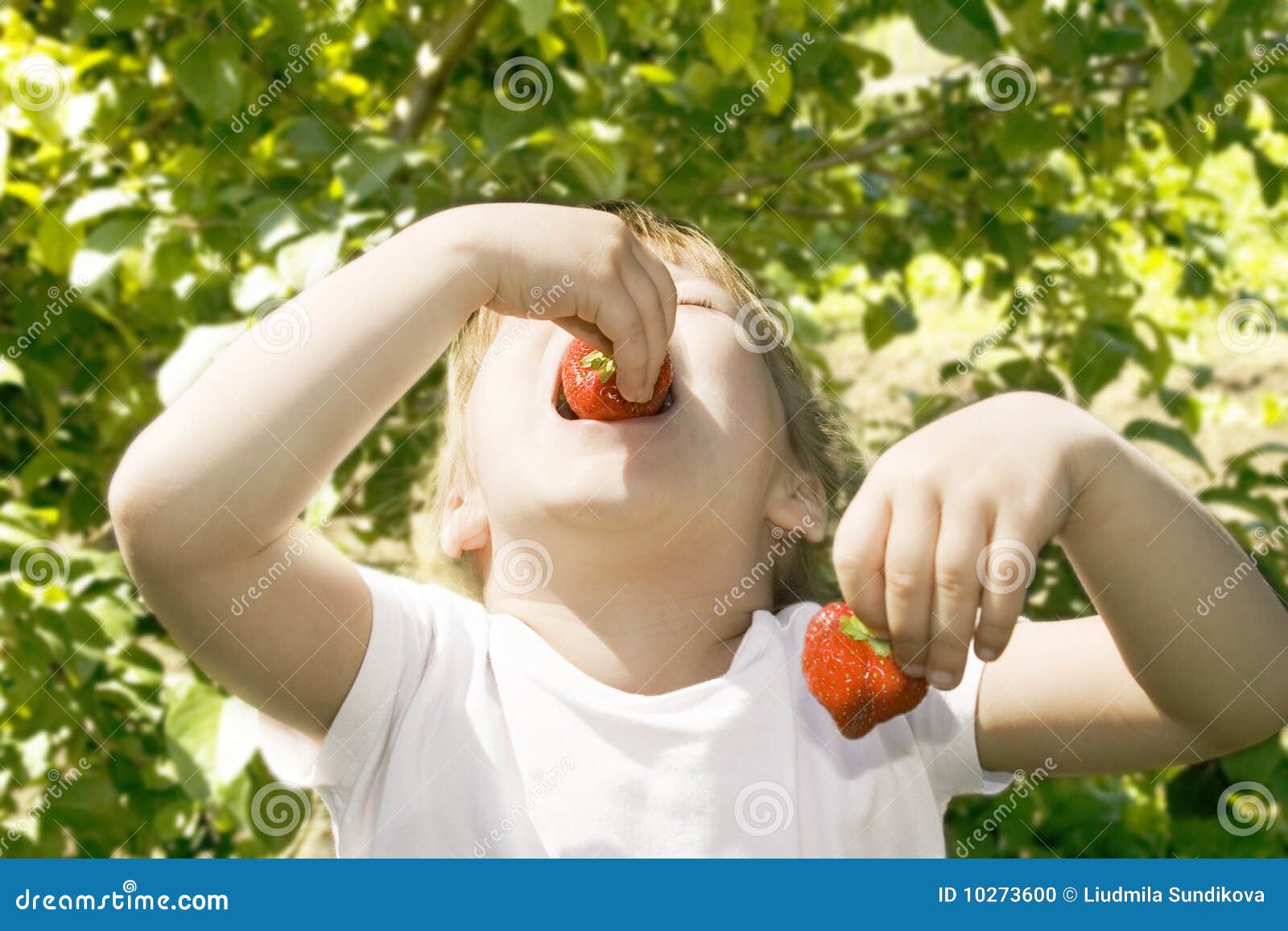 Girl eating strawberries. stock photo. Image of caucasian - 10273600