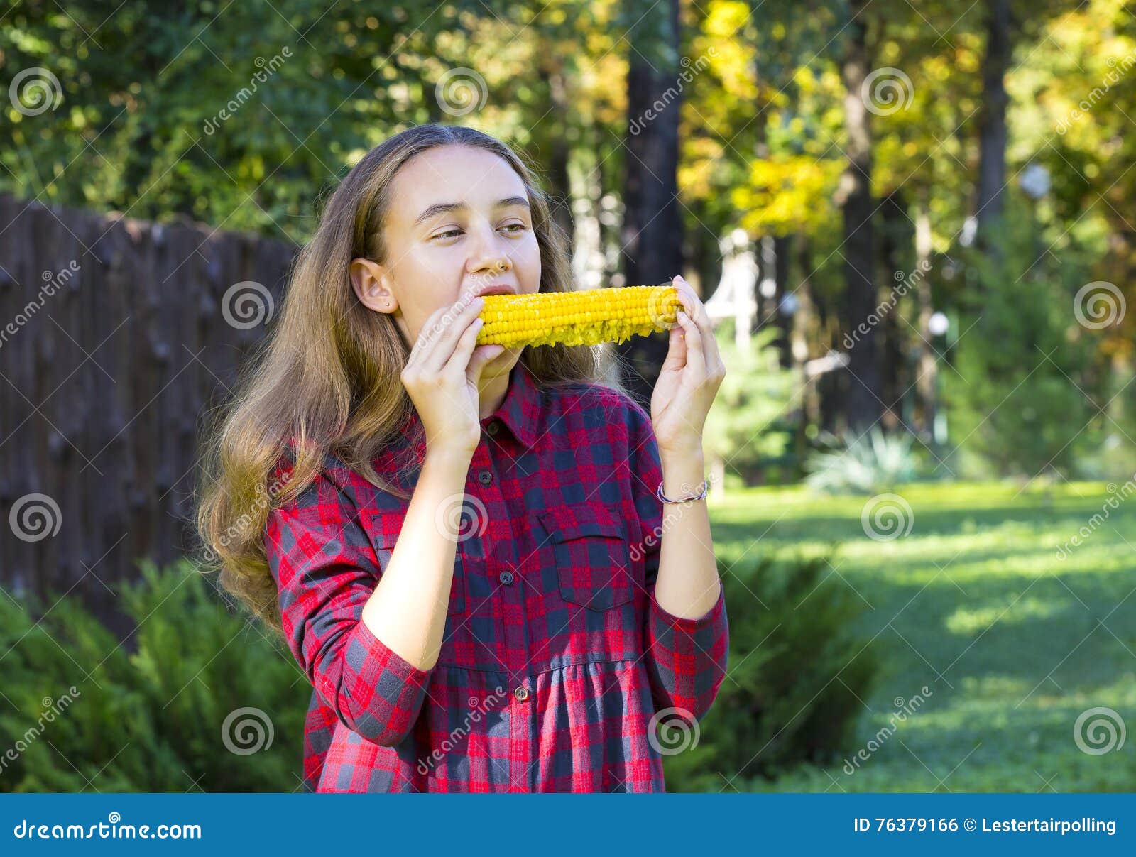 Girl eating sweet corn stock photo. Image of eating, people - 76379166