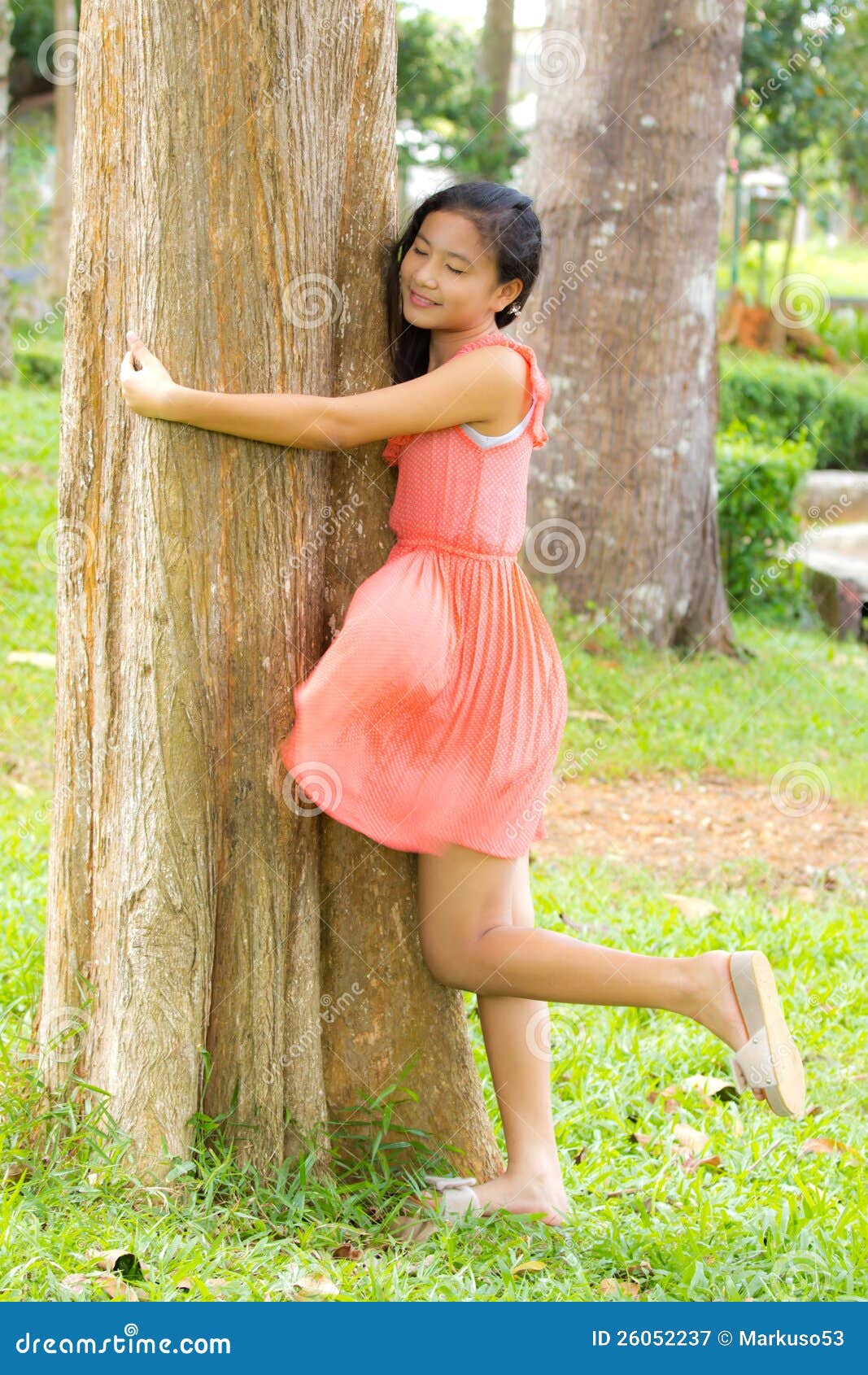 Girl embrace the tree stock image. Image of asian, park - 26052237