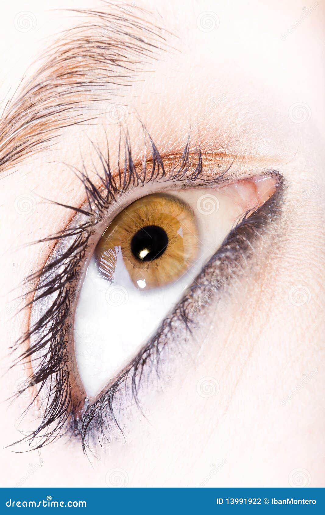 Girl eye stock photo. Image of macro, eyelash, eyesight - 13991922