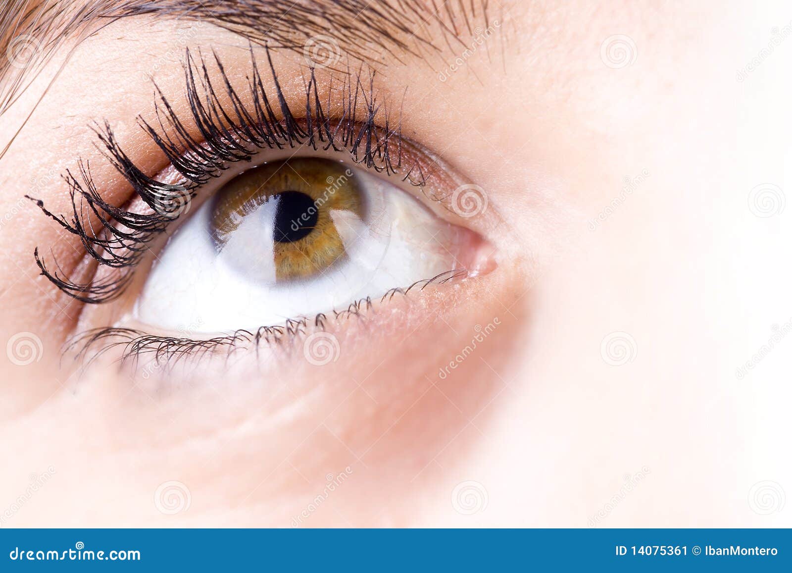 Girl eye stock image. Image of eyelash, cosmetics, mascara - 14075361