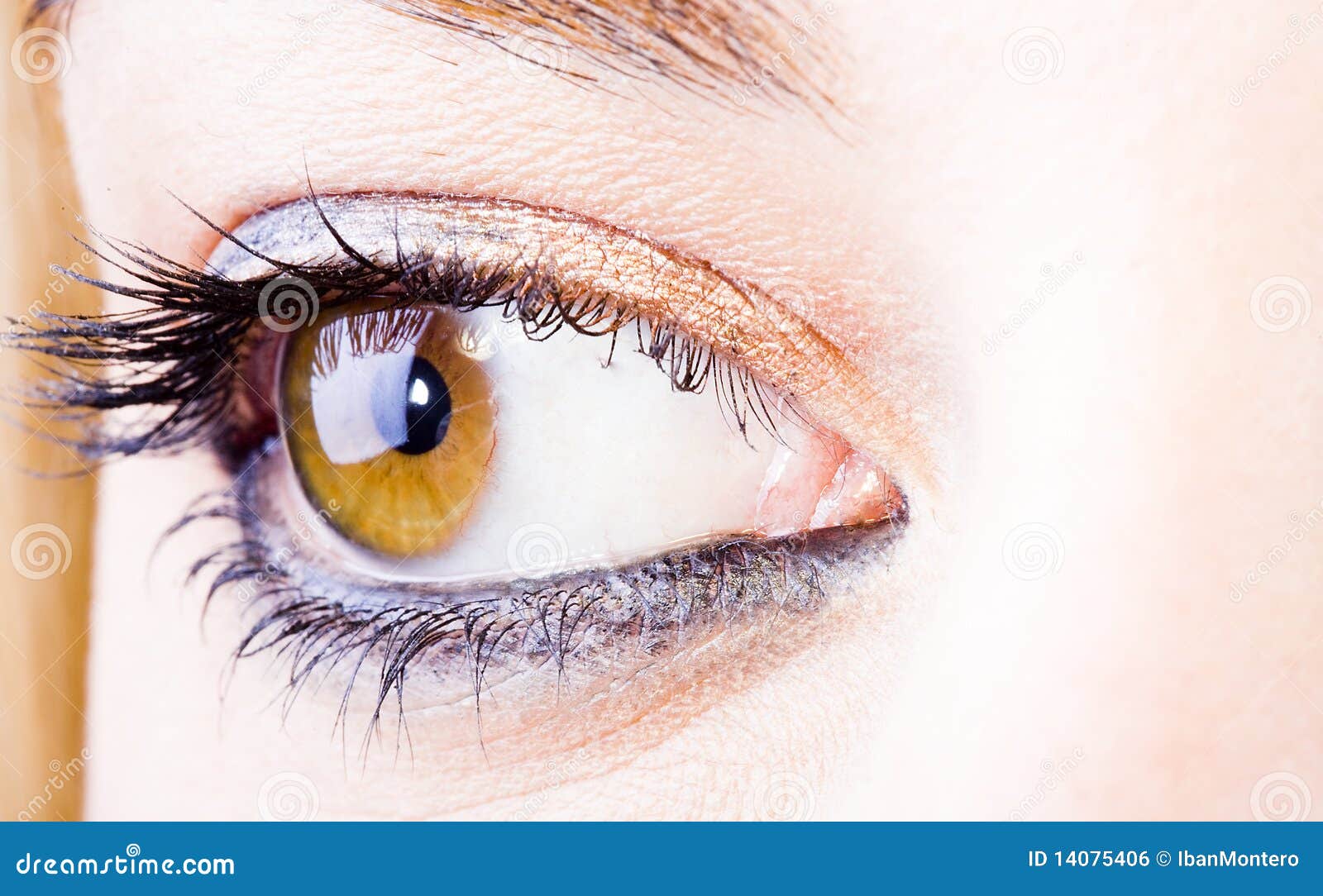 Girl eye stock photo. Image of hair, clean, look, iris - 14075406
