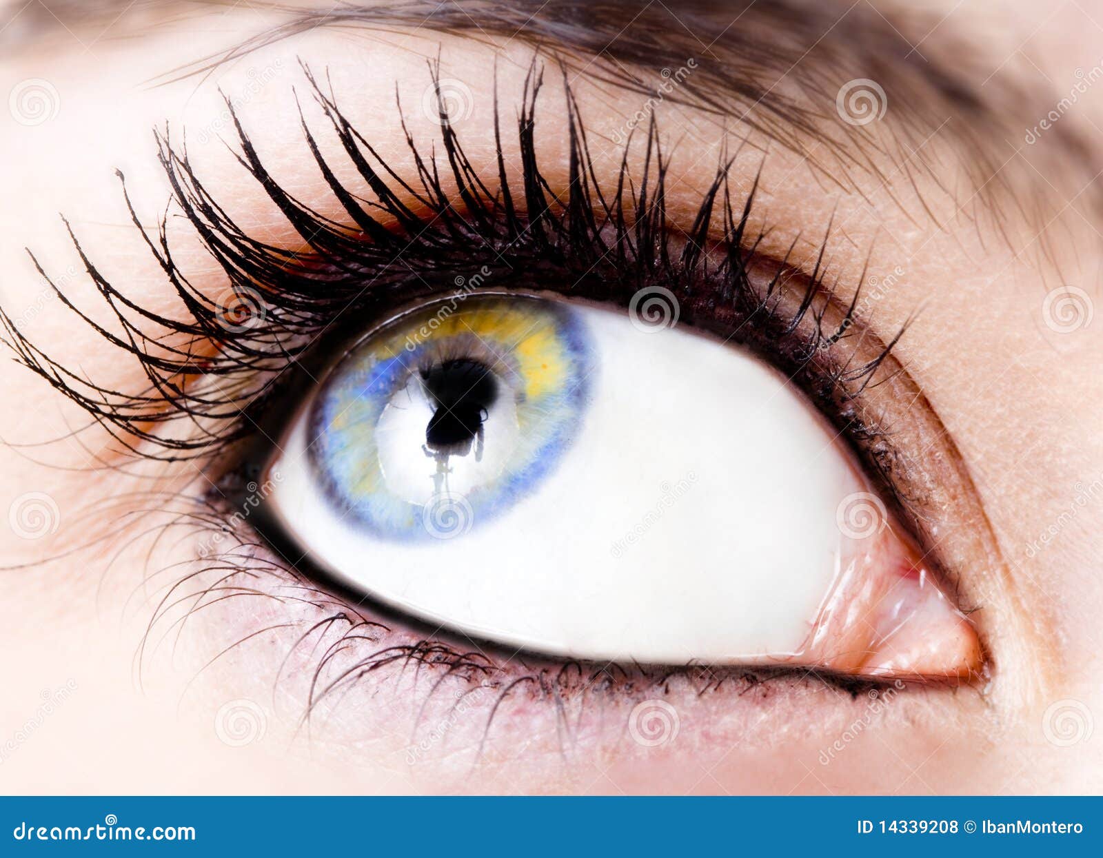 Girl eye stock photo. Image of eyes, model, iris, clean - 14339208