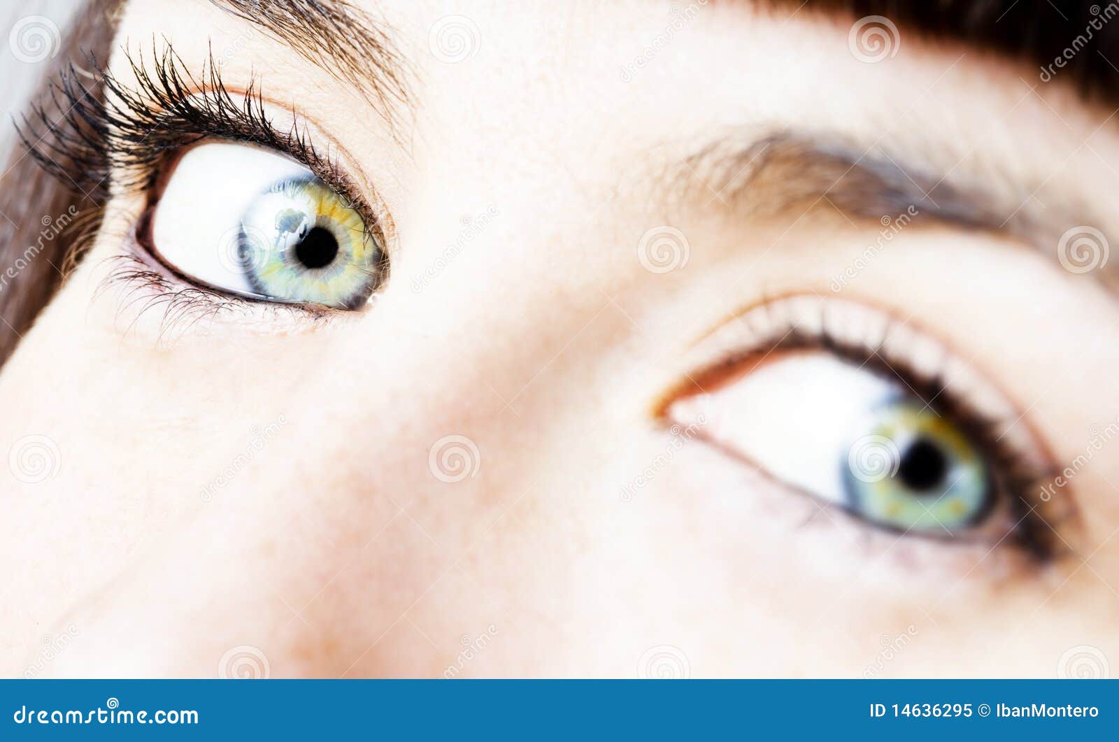 Girl eye stock image. Image of eyelid, human, model, macro - 14636295