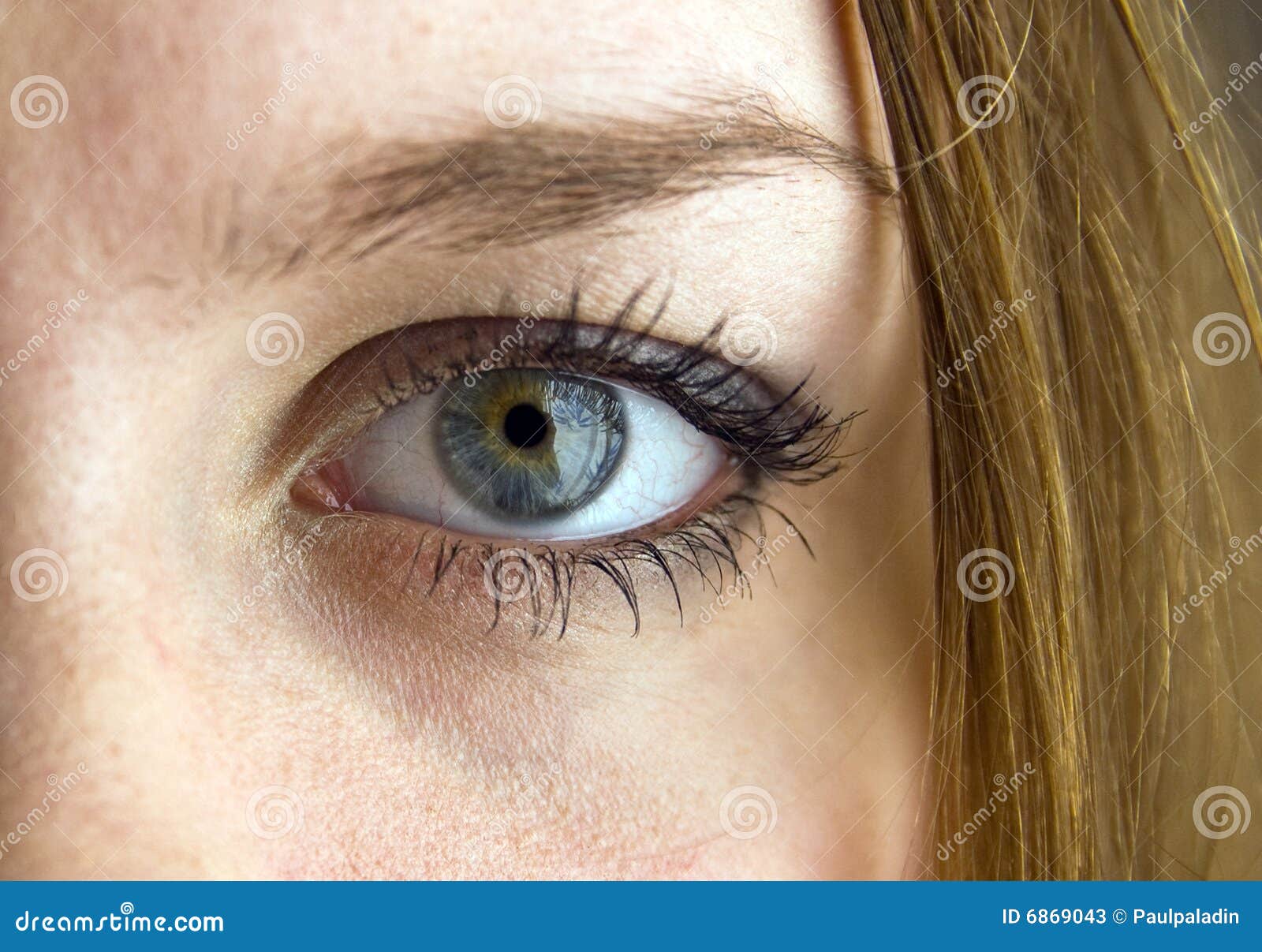Girl eye stock image. Image of human, skin, eyeshadow - 6869043