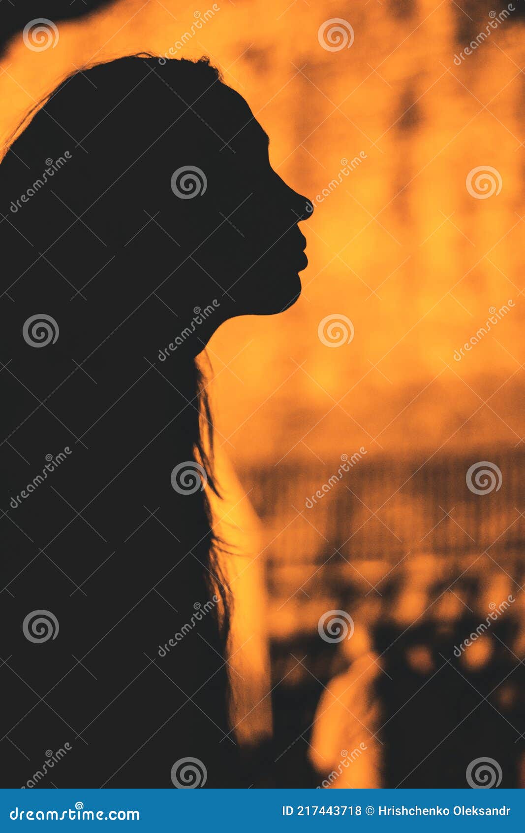 Girl Face Silhouette at Night on the Background of Light of Lanterns ...