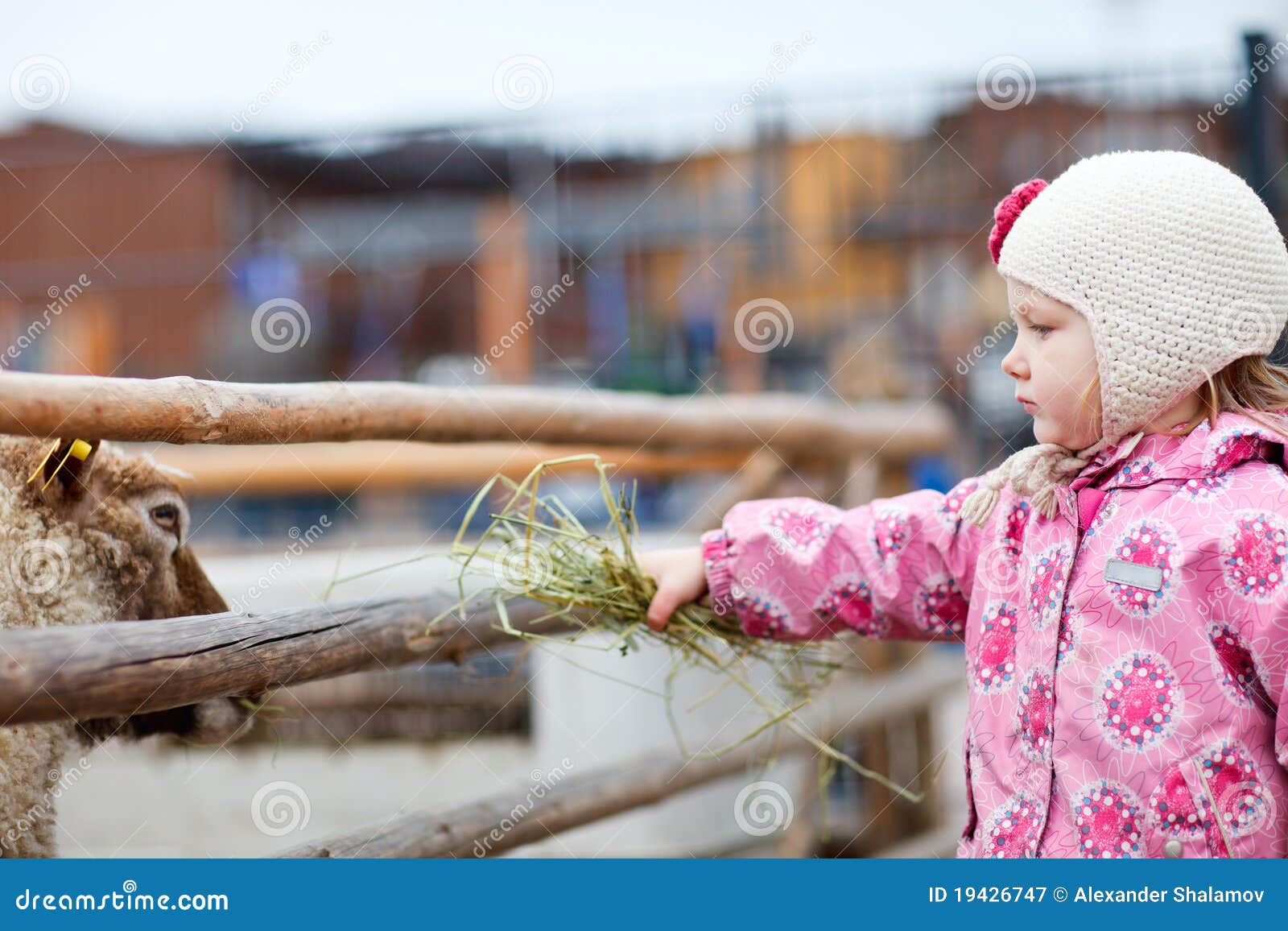 Girl at farm stock image. Image of toddler, farm, feeding - 19426747