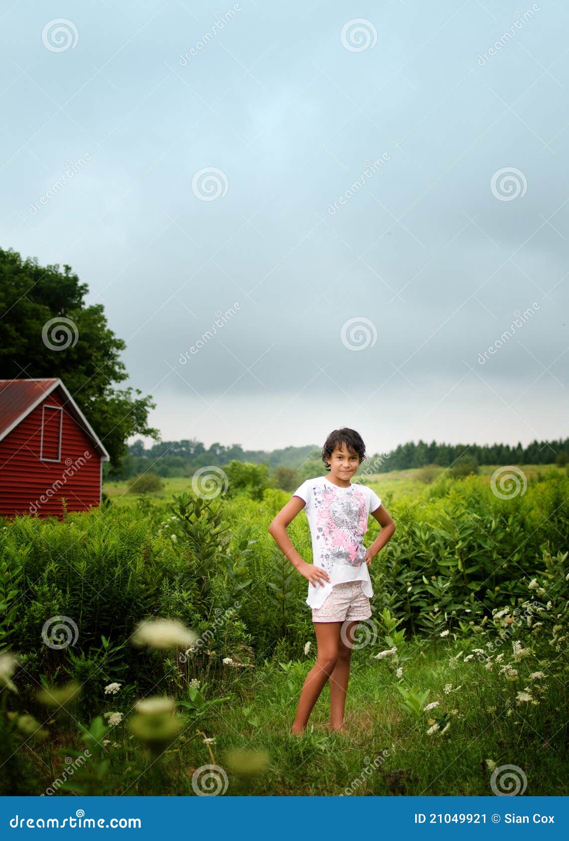 Girl on a farm stock image. Image of farm, childhood - 21049921