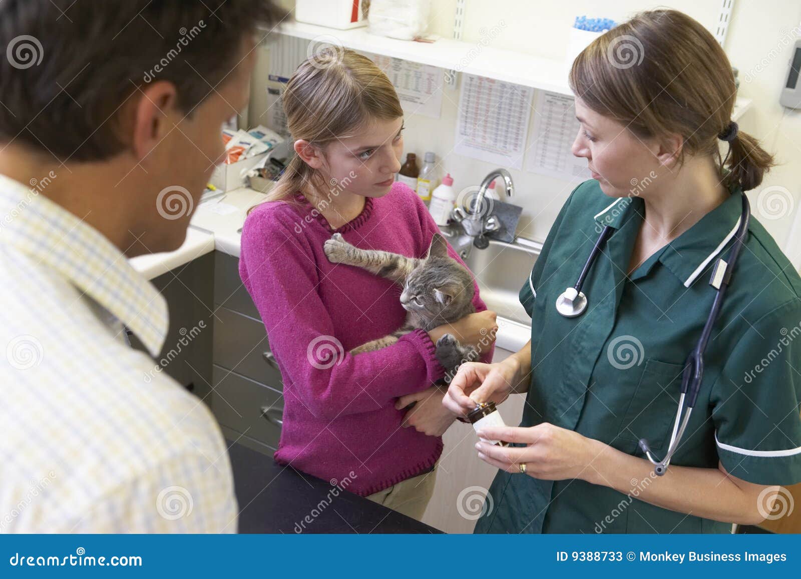 Girl and Father Taking Cat for Examination by Vet Stock Image - Image ...