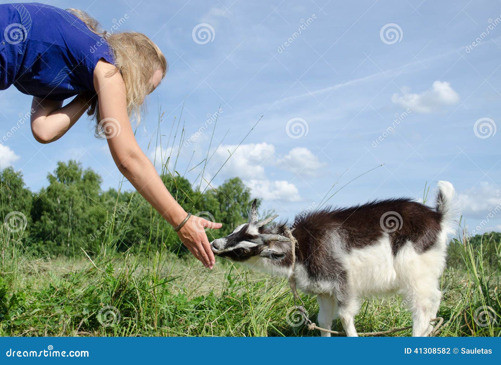 Girl Feed Goatling Scratch Snout Stock Photo - Image of scene, goat ...